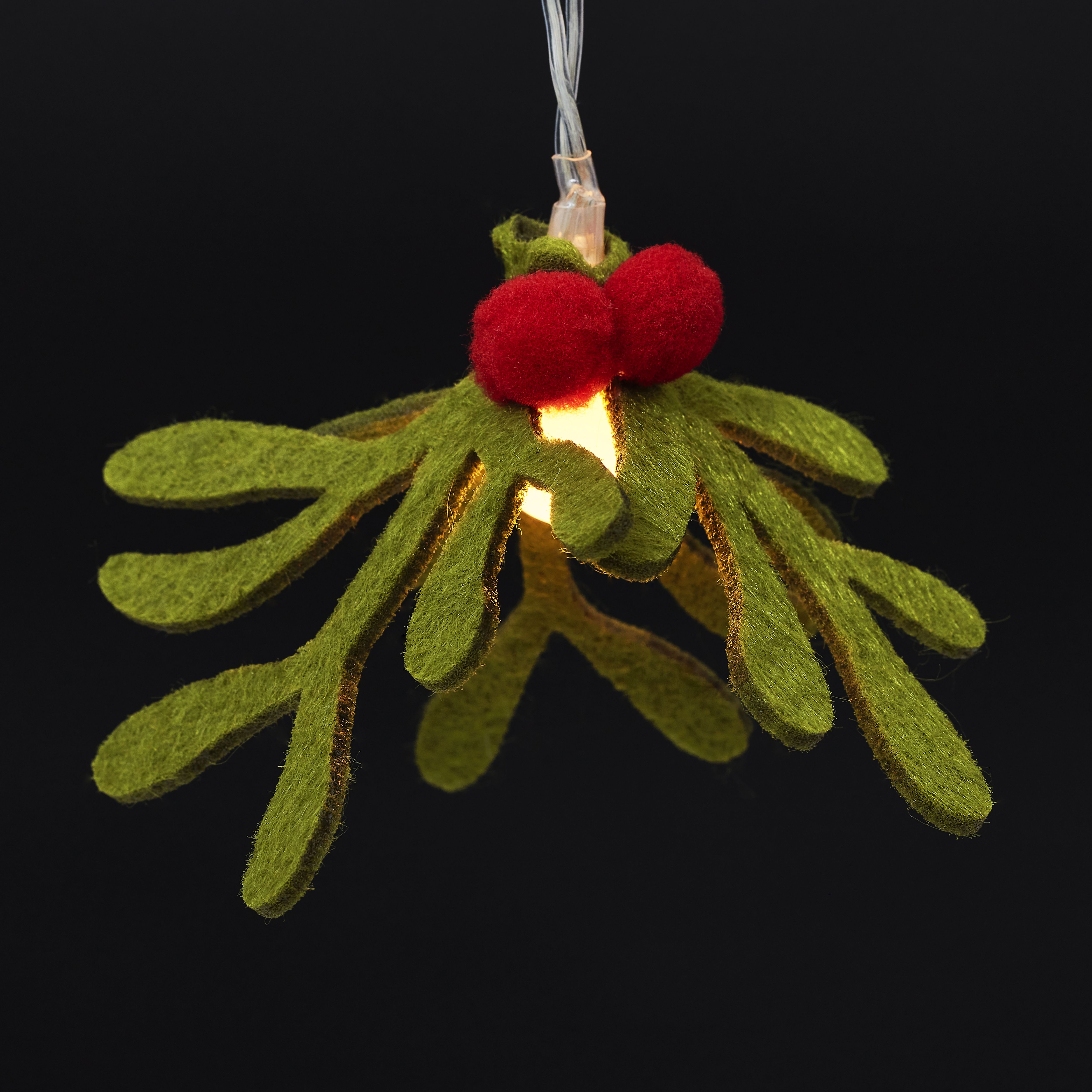 10 Warm white Mistletoe LED String lights With timer function Clear cable