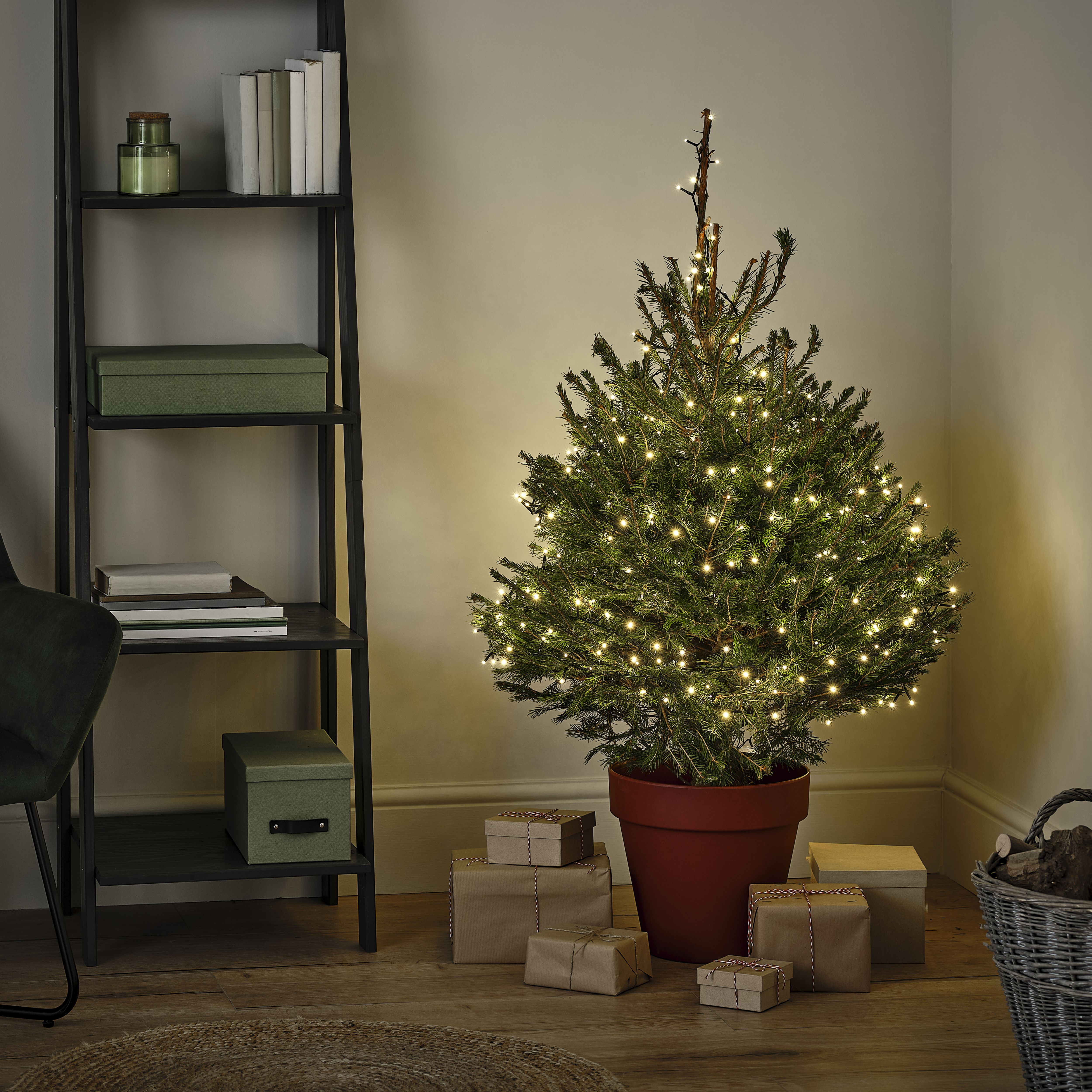 120-150cm Spruce Pyramid Real pot grown Christmas tree | DIY at B&Q