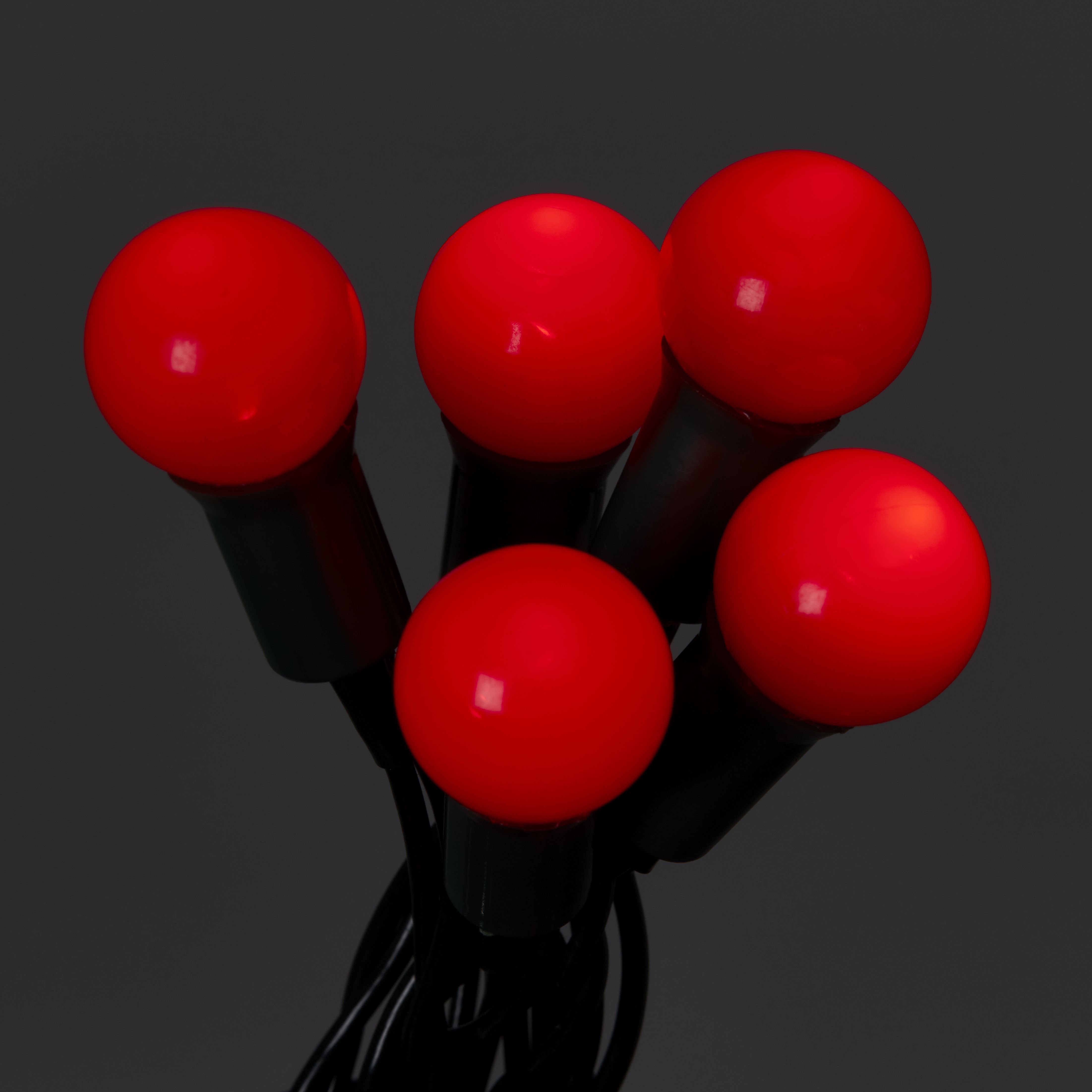 120 Red Berry LED With timer function String lights with 13.52m Green cable