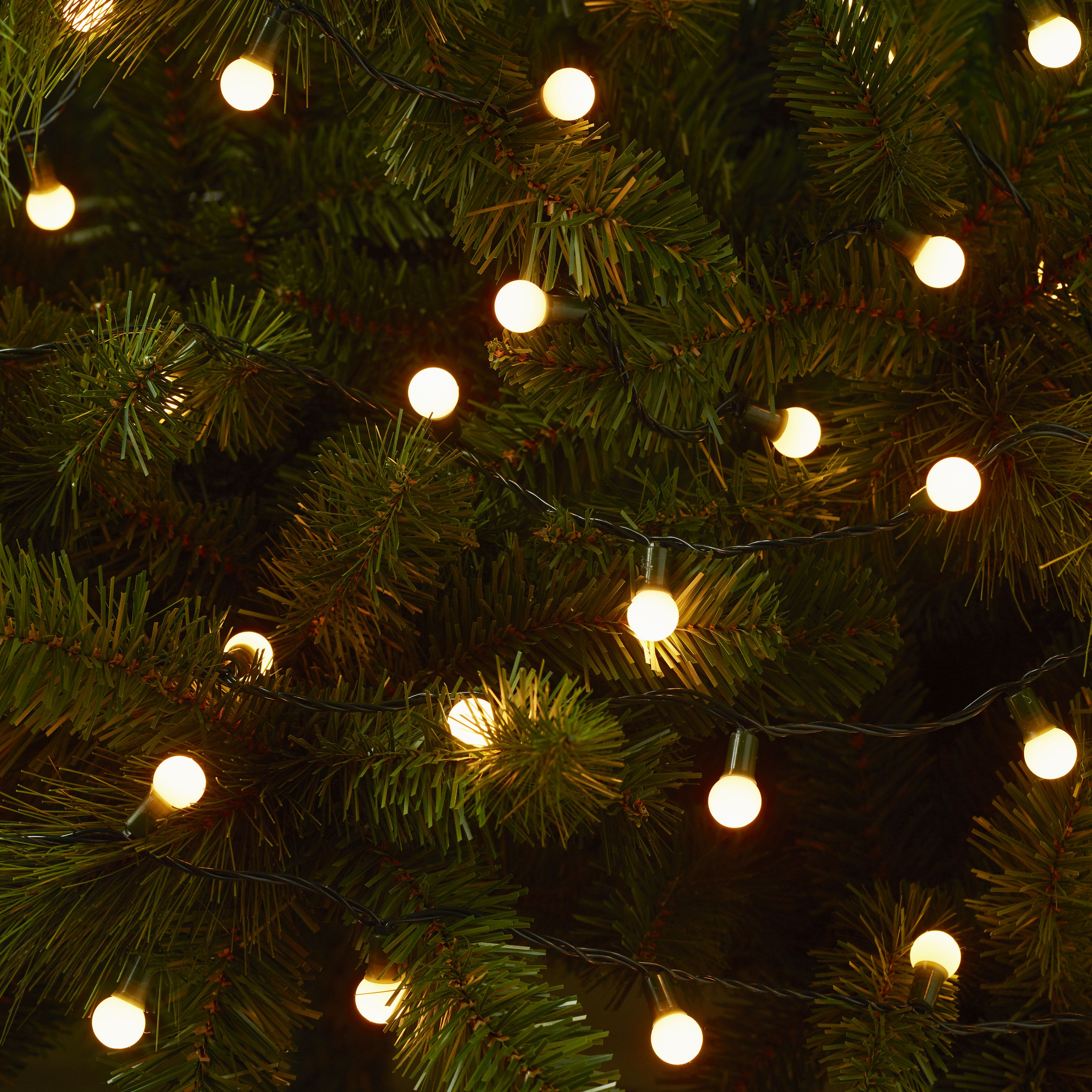 120 Warm white Berry LED String lights With timer function Green cable