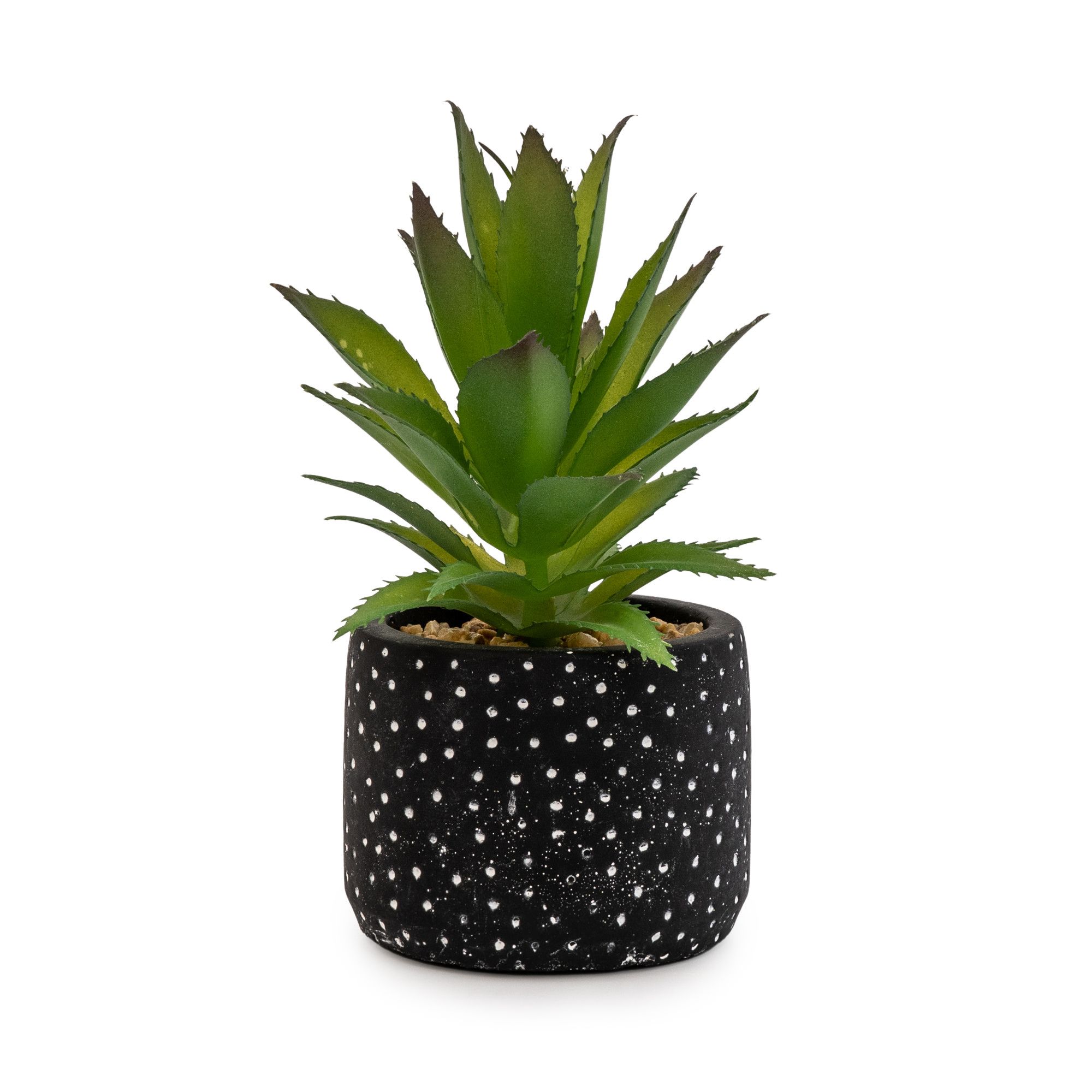 17cm Succulent Artificial plant in Black Spotty Pot