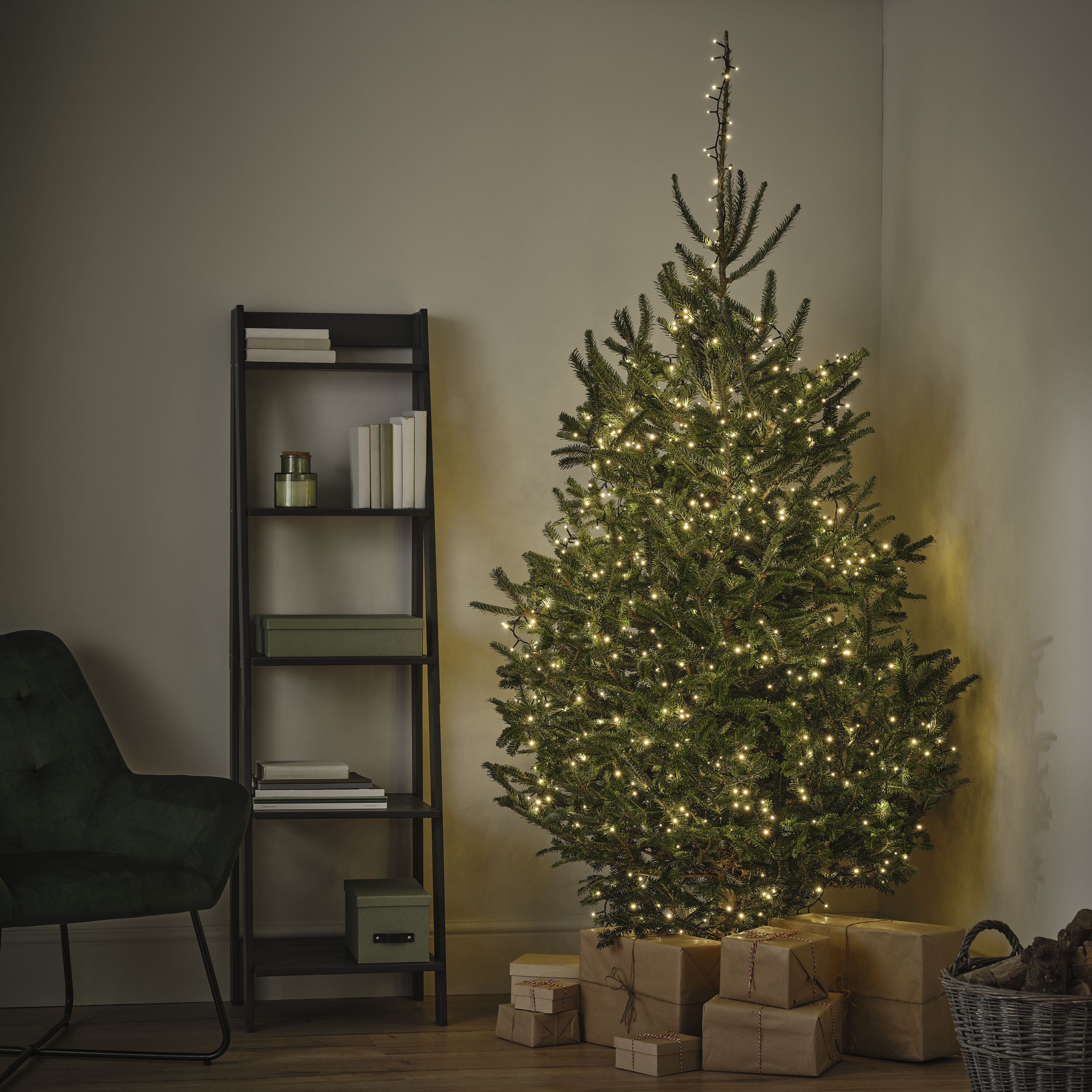 180-210cm 6ft Fraser fir Large Slim Real cut Christmas tree | DIY at B&Q