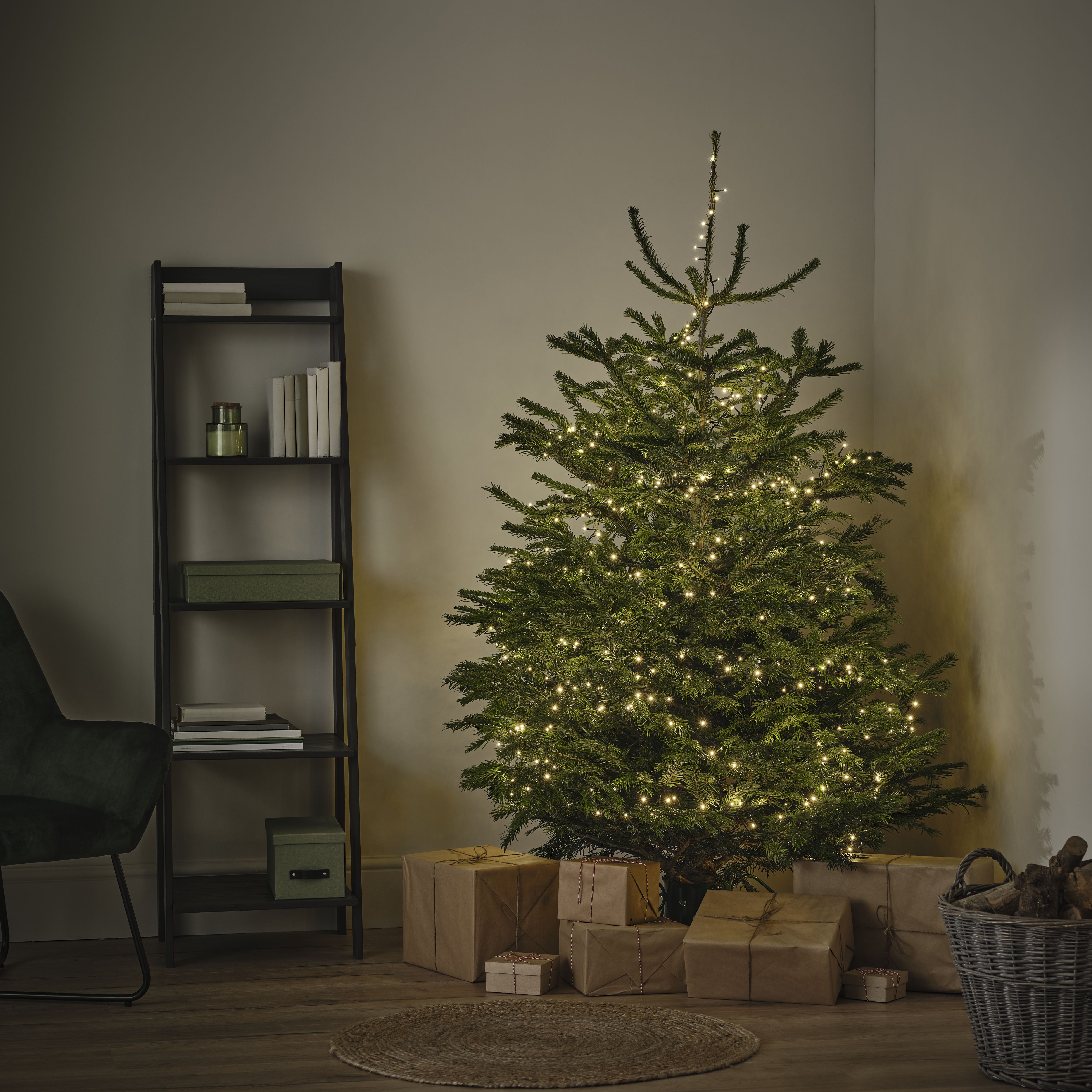 180-210cm 6ft Nordmann fir Large Slim Real cut Christmas tree