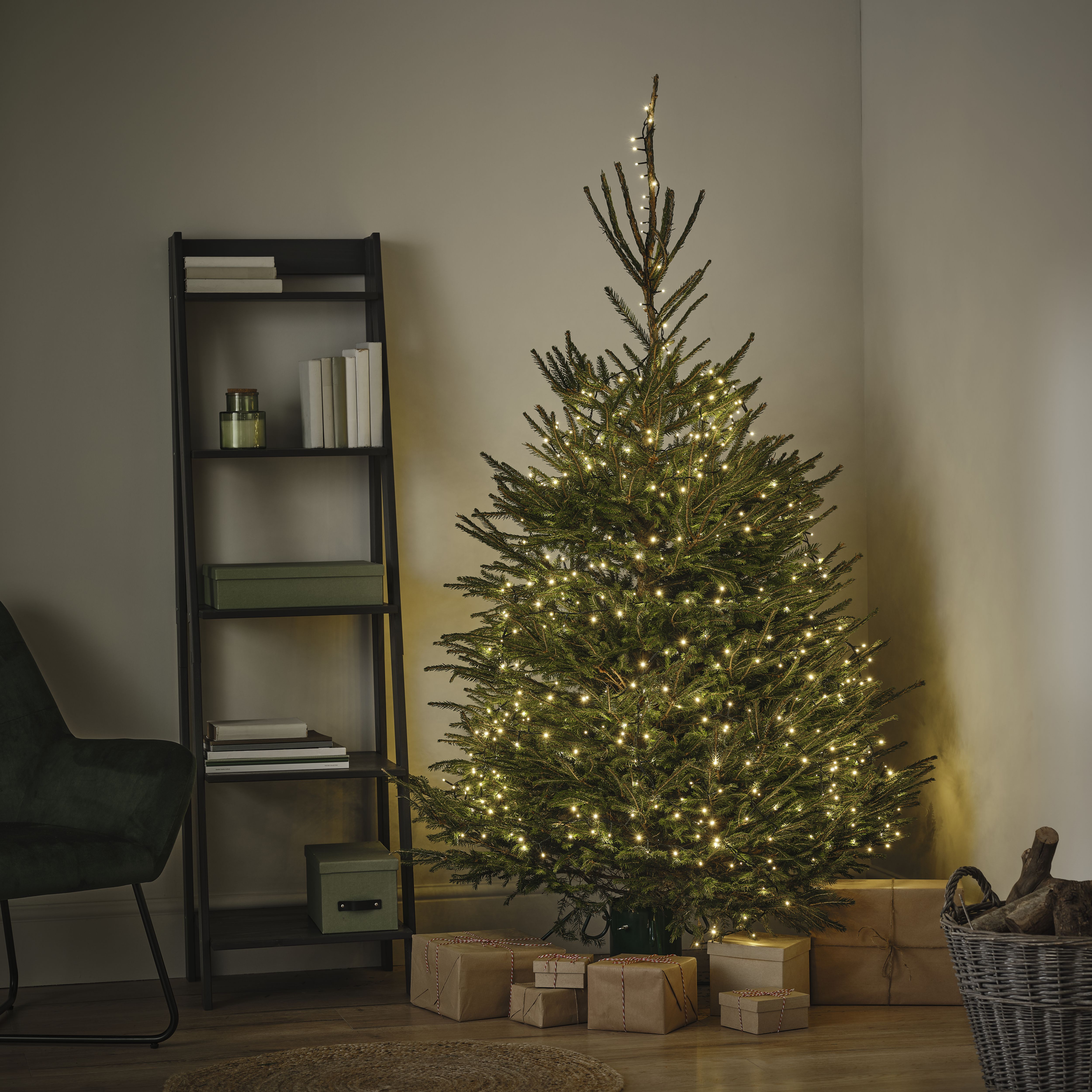 180-210cm 6ft White spruce Full Real cut Christmas tree