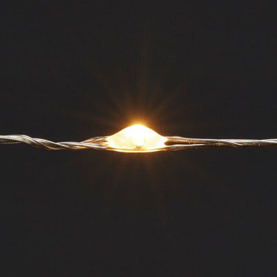 20 Warm white Copper wire LED With timer String lights Silver cable