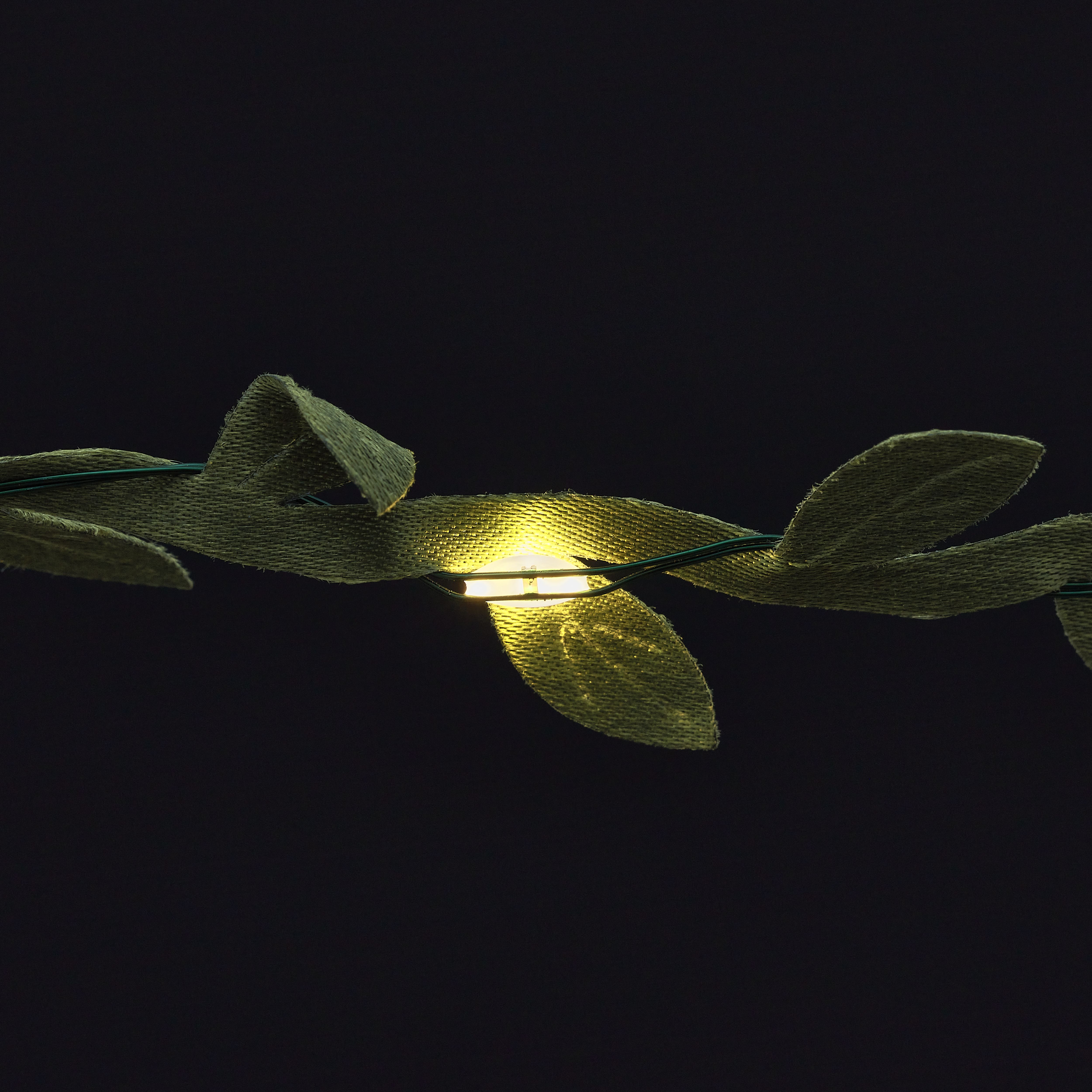 20 Warm white LED String lights With timer function Green cable