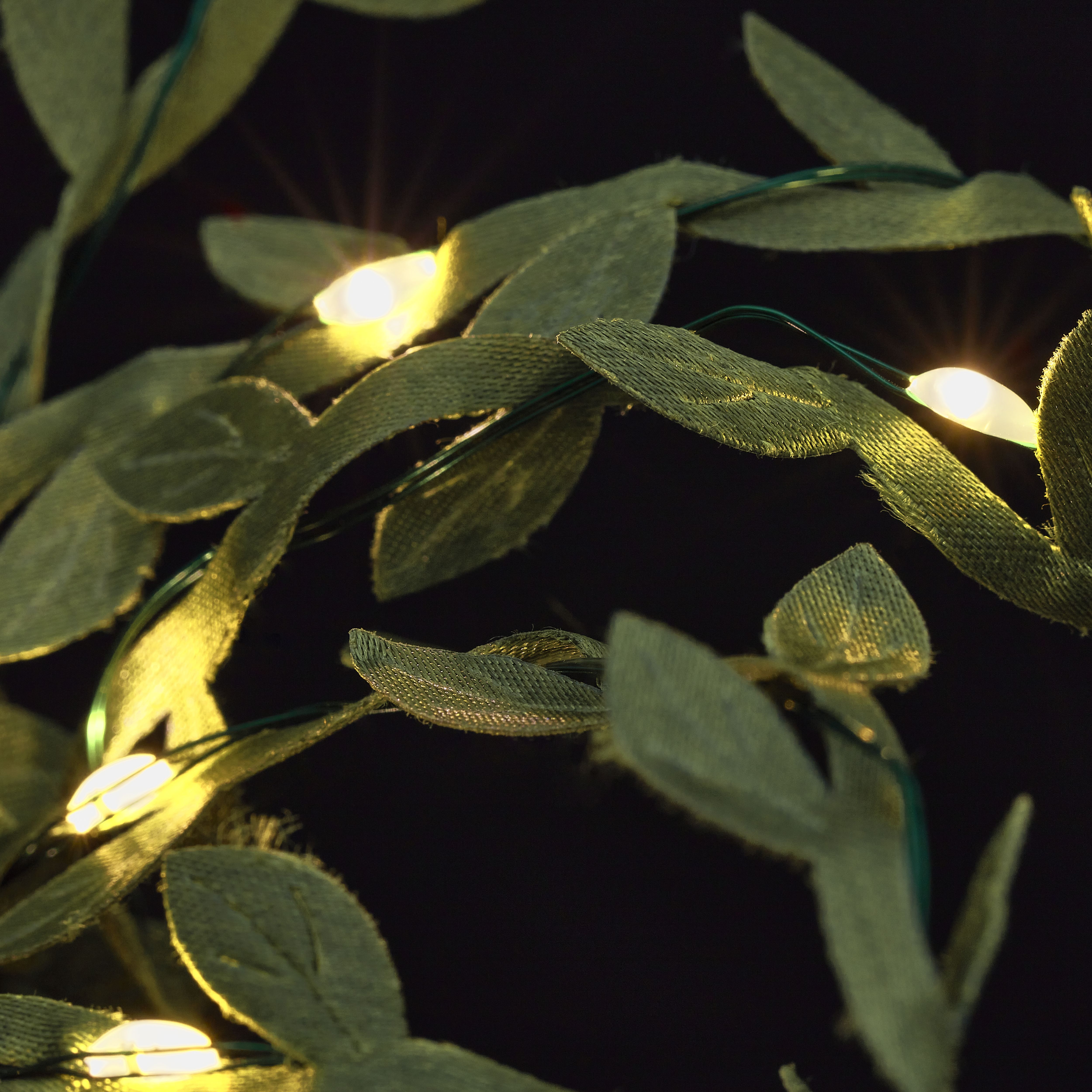 20 Warm white LED String lights With timer function Green cable