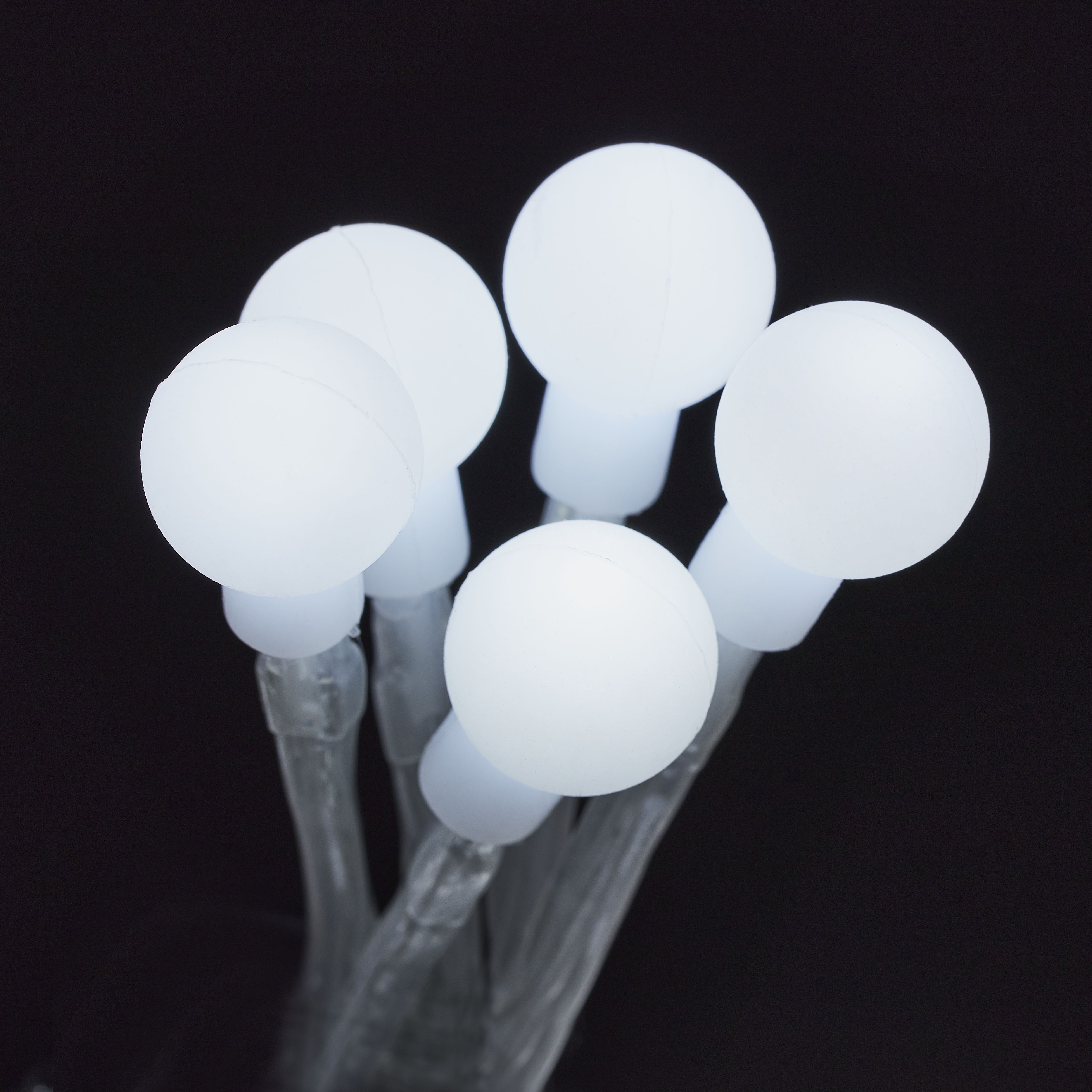 240 Ice white Berry LED With timer Cluster string light with 6m Clear cable