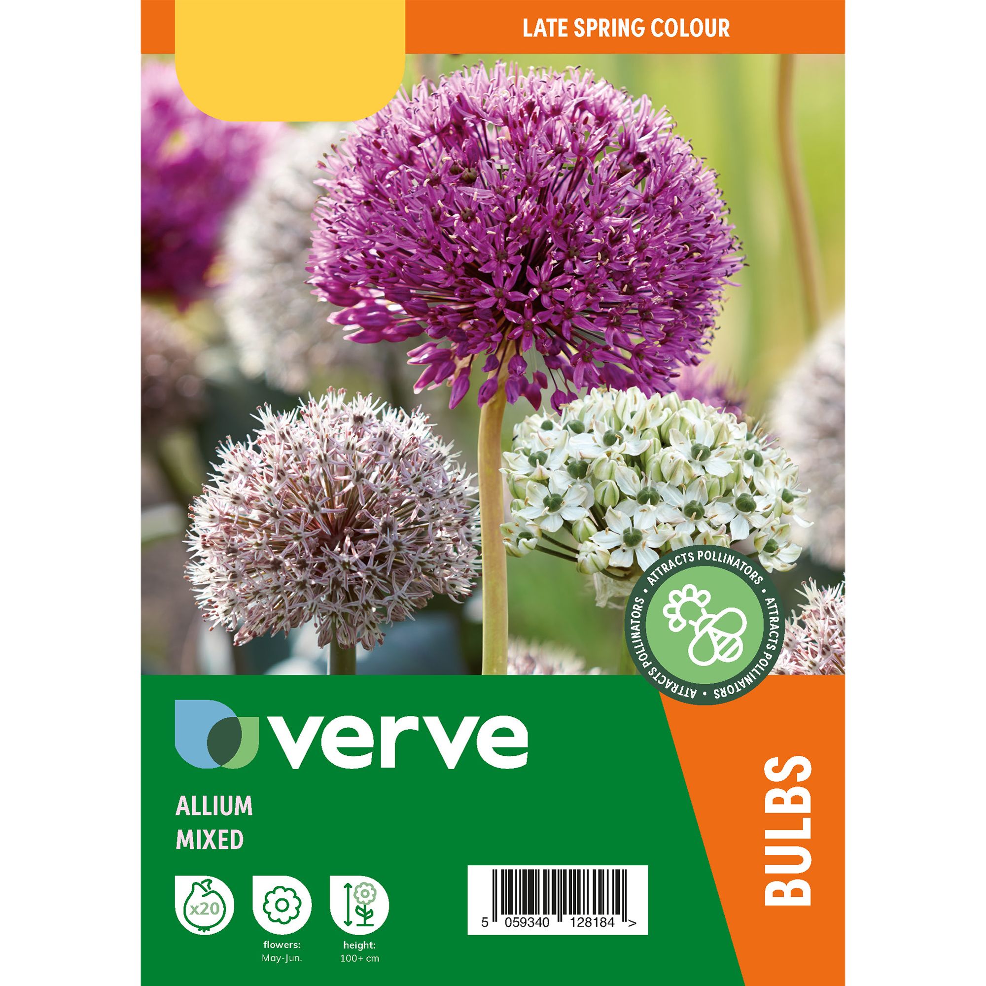 Allium small flower mixed Flower bulb, Pack of 20 | DIY at B&Q