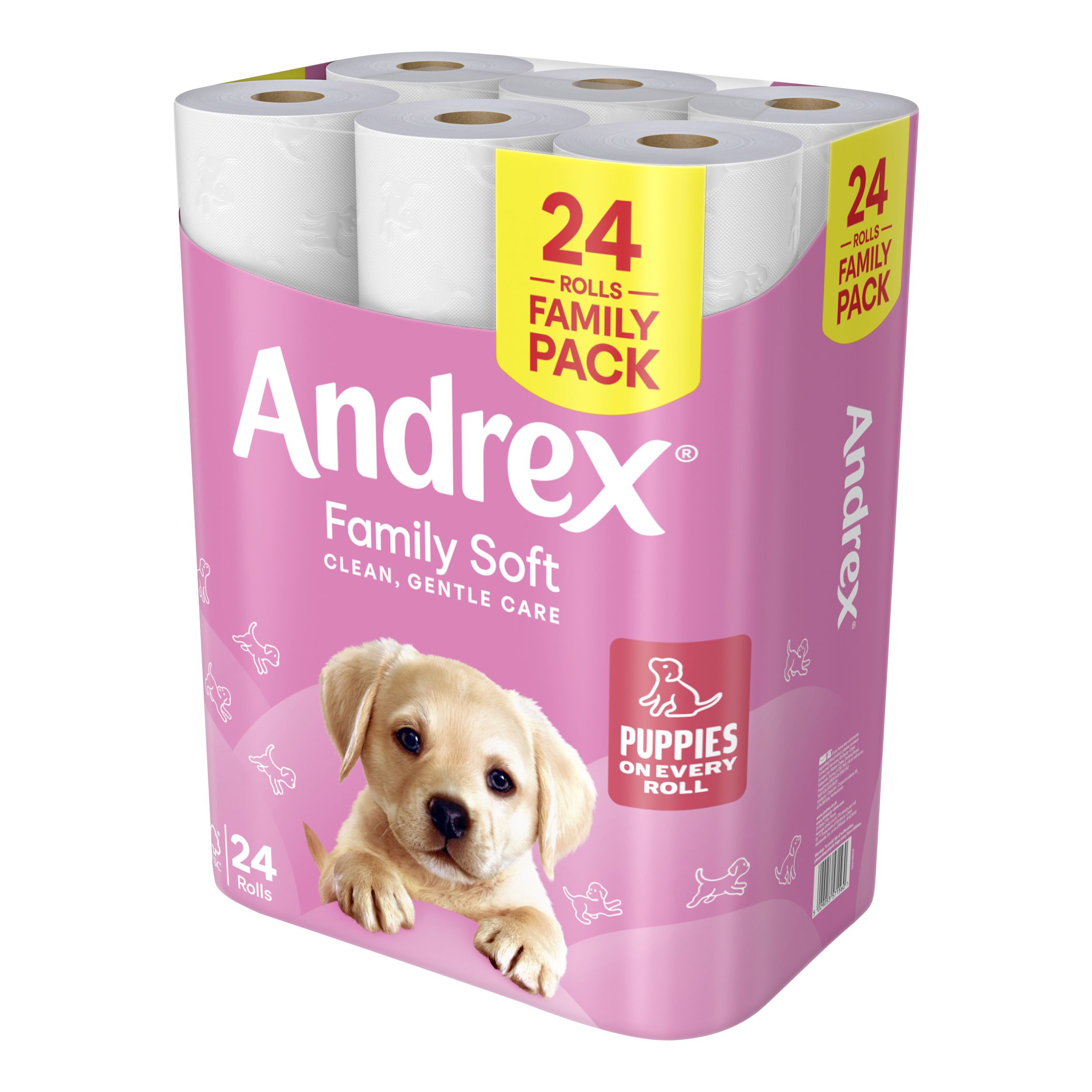 Andrex Family Soft White Toilet roll, Pack of 24