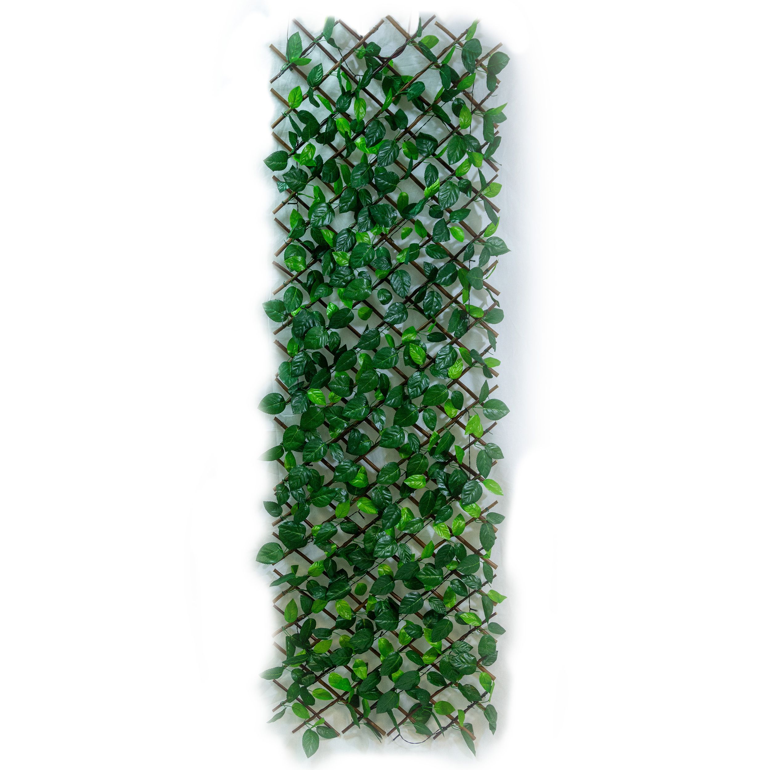Apollo Gardening LED Rose Leaf 6ft Varied Diamond Willow Trellis (W ...
