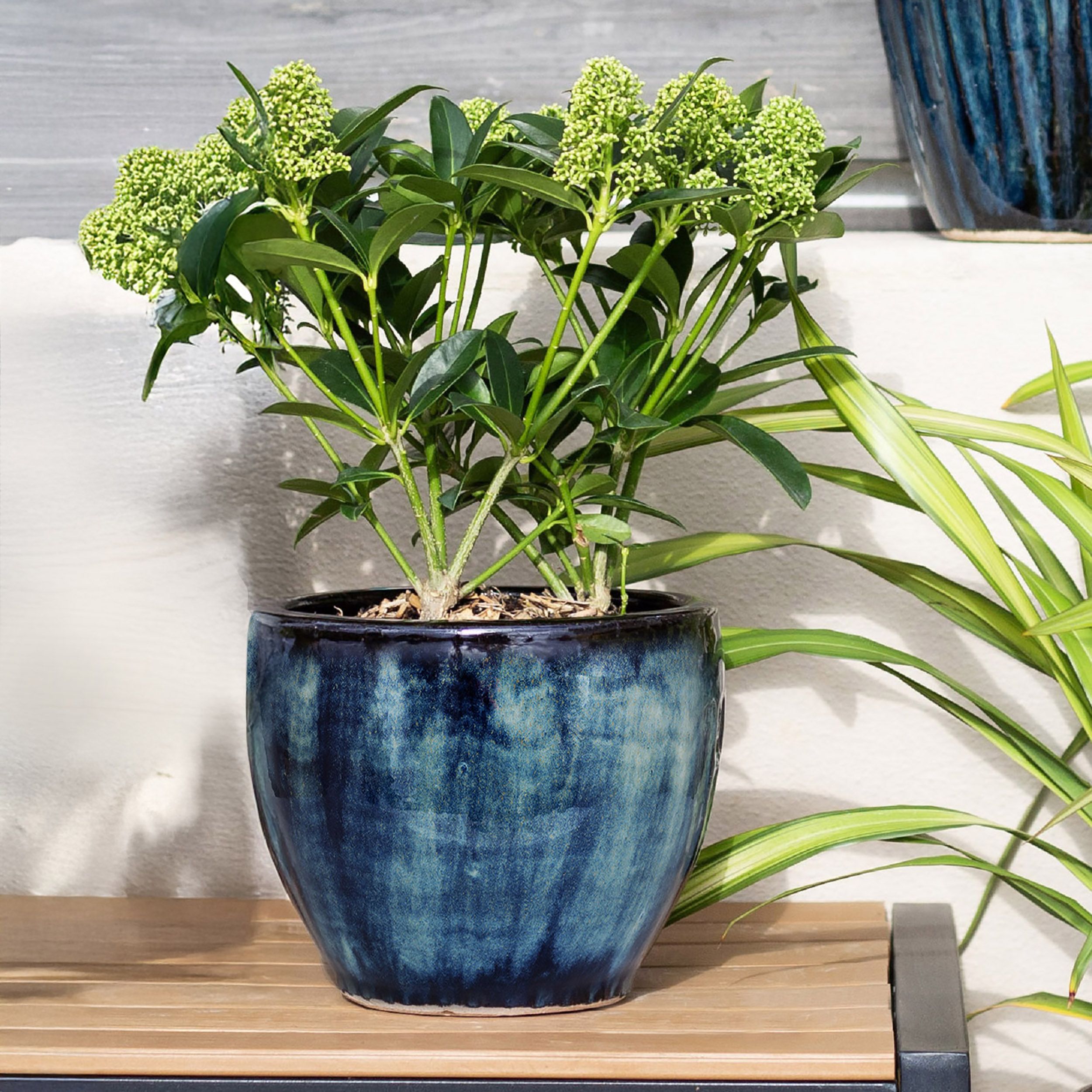 Aquaflora Blue Terracotta Glazed Plant pot (Dia) 36cm, (H)26cm