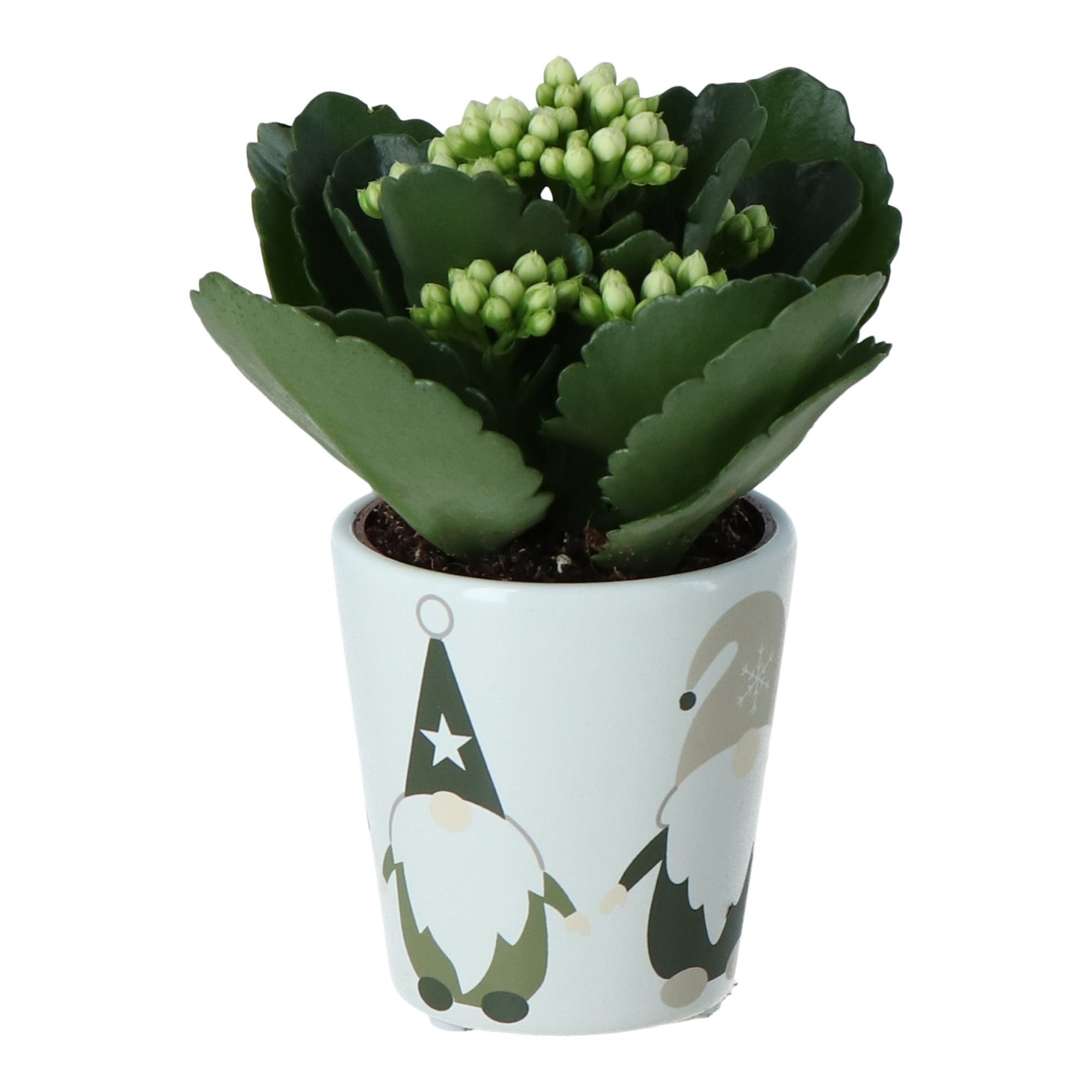 Assorted Gonk Ceramic Decorative pot 6cm | DIY at B&Q