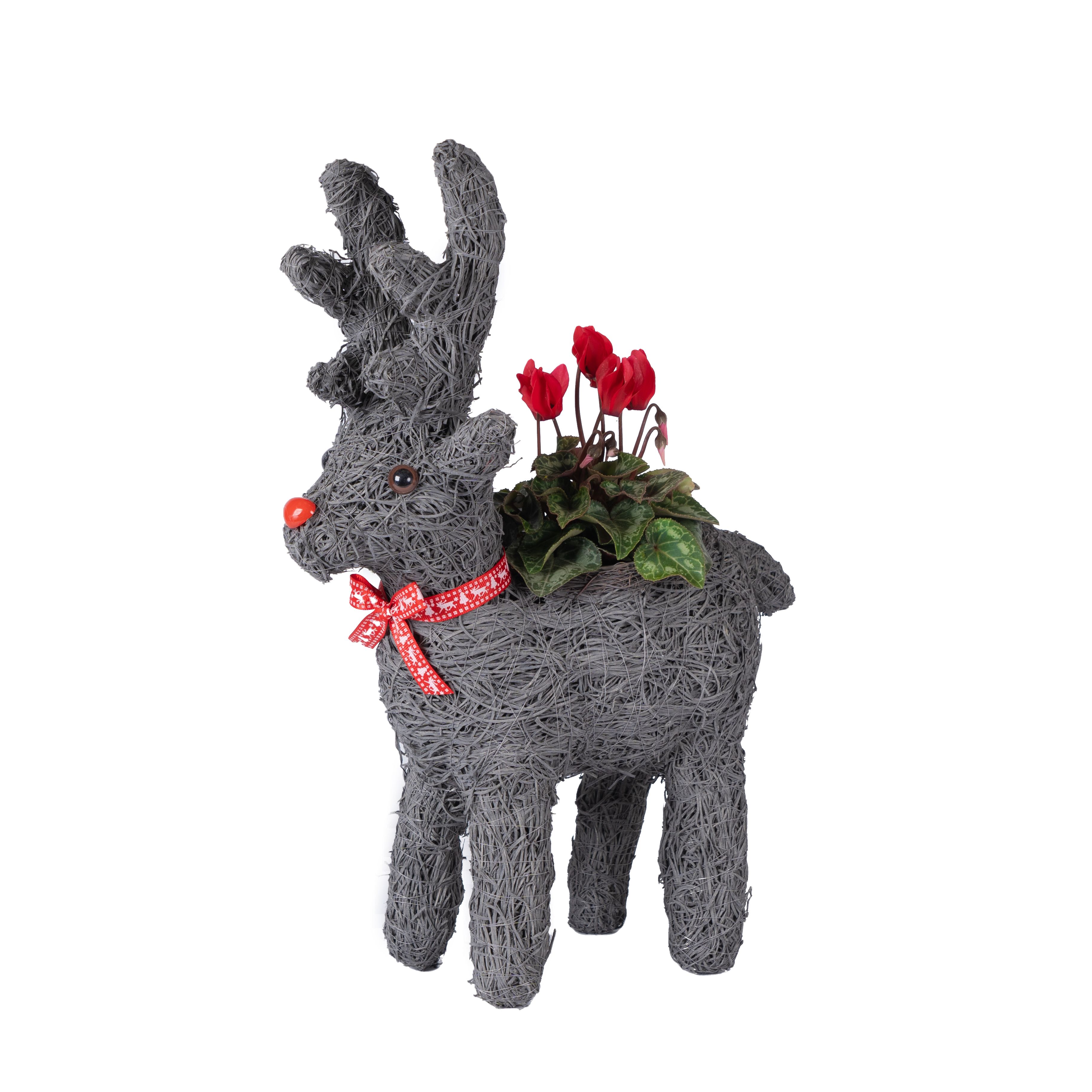 Assorted in Brown Wicker Novelty reindeer Planter
