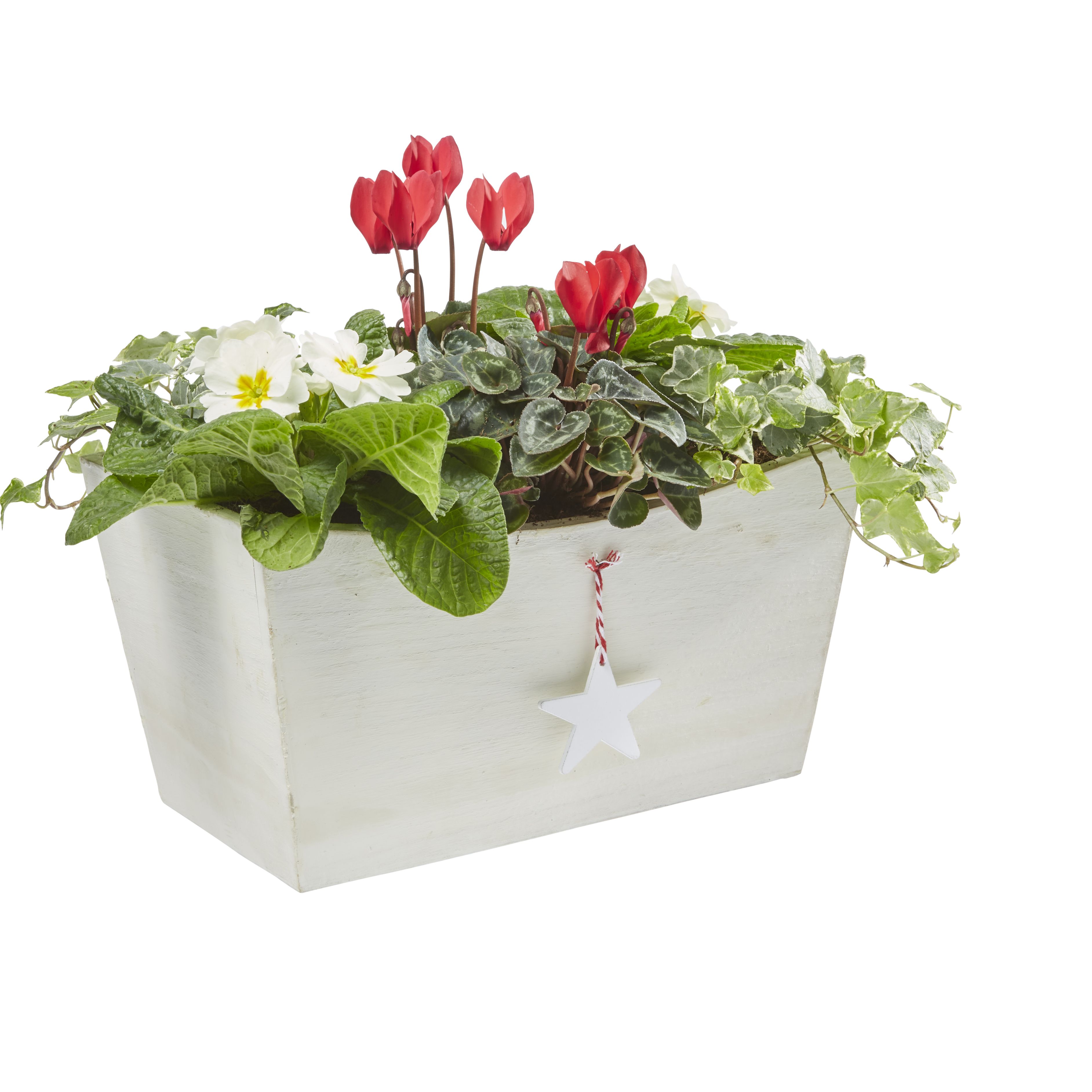 Assorted in Cream Wood Trough | DIY at B&Q