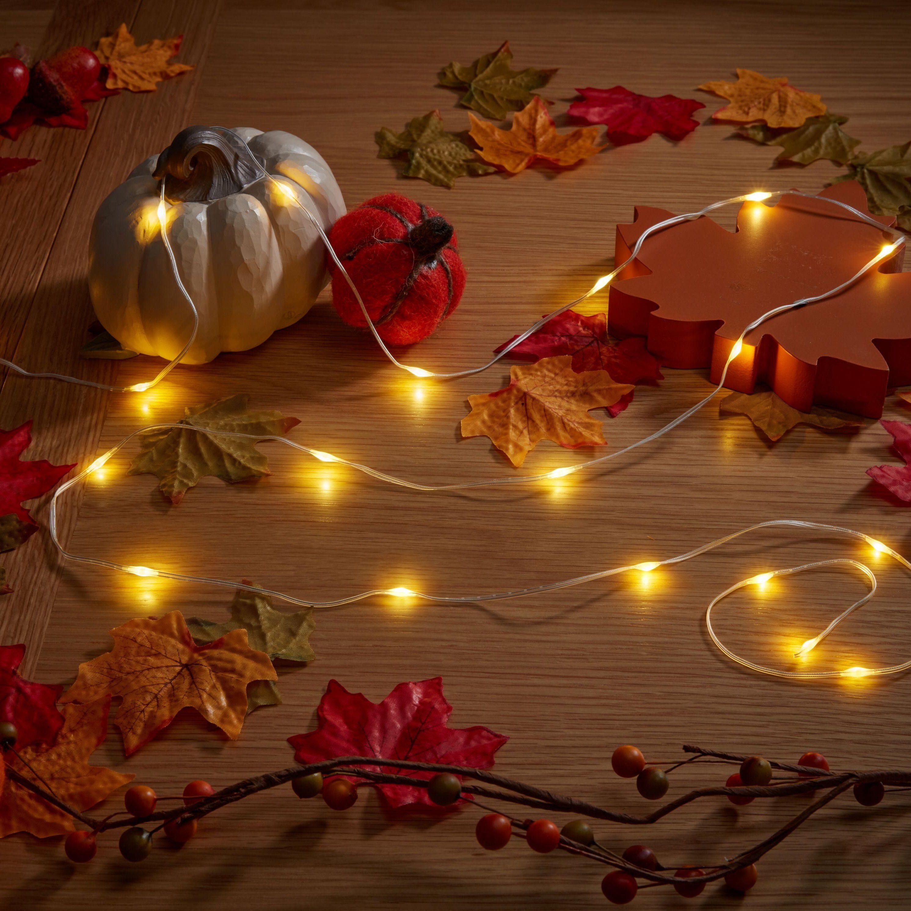Battery-powered Warm white 20 LED Indoor String lights
