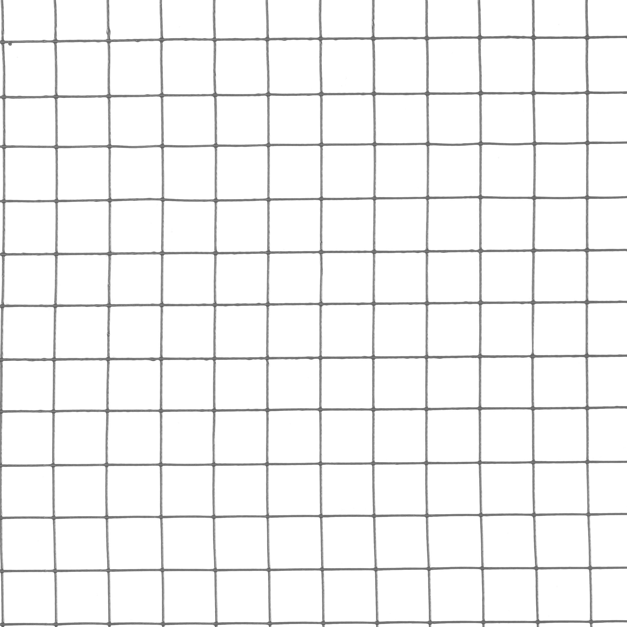 Blooma 25x25mm Galvanised Steel Wire mesh roll, (L)5m (H)0.5m