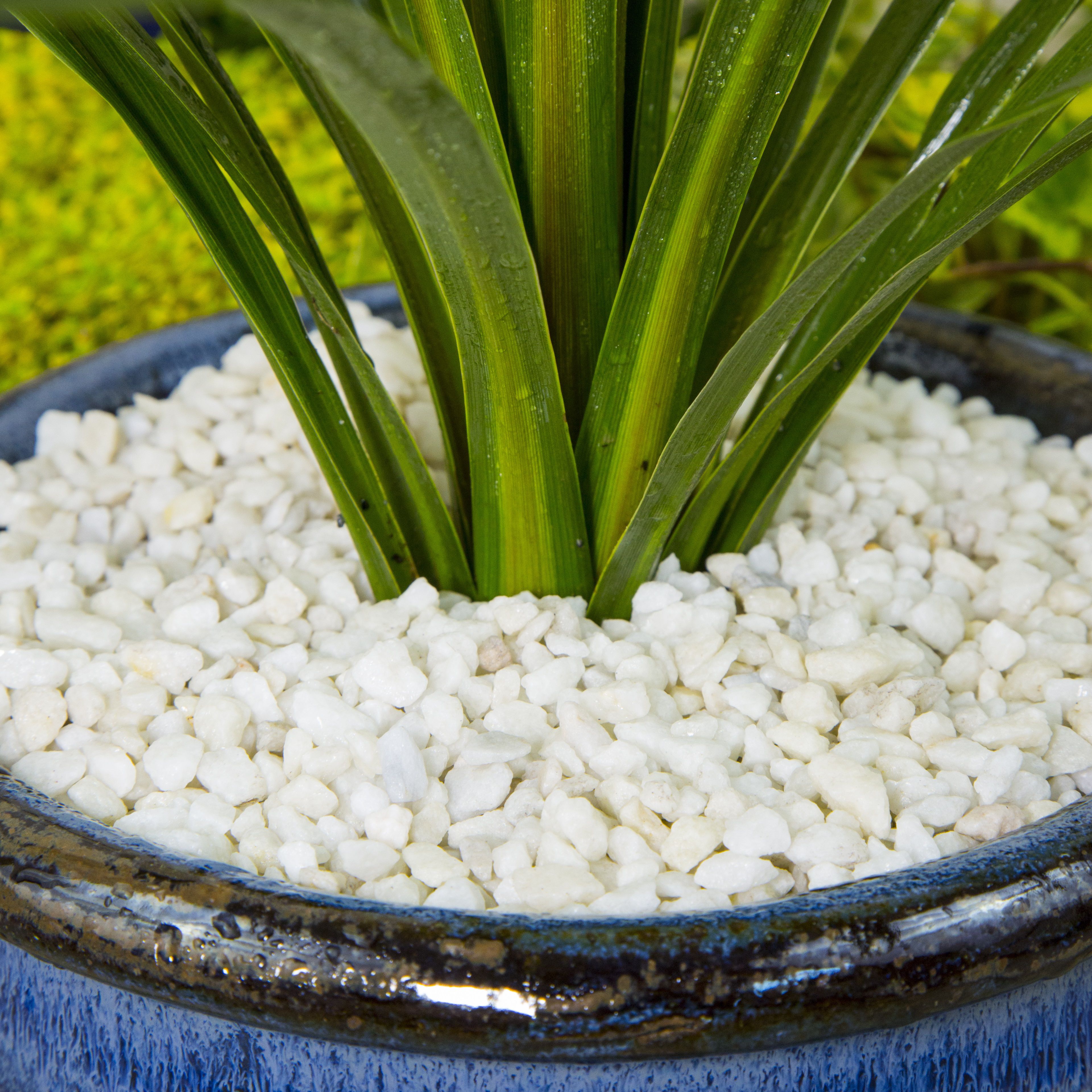 Blooma Alpine White Decorative stones, Large Bag