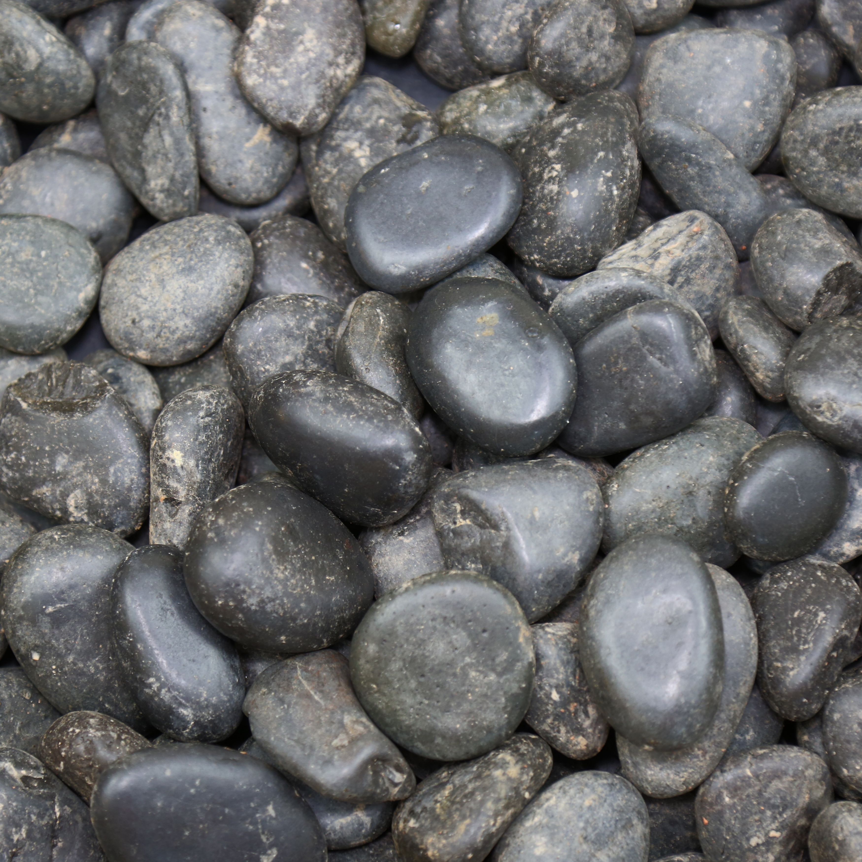 Blooma Black Chinese Black Pebbles