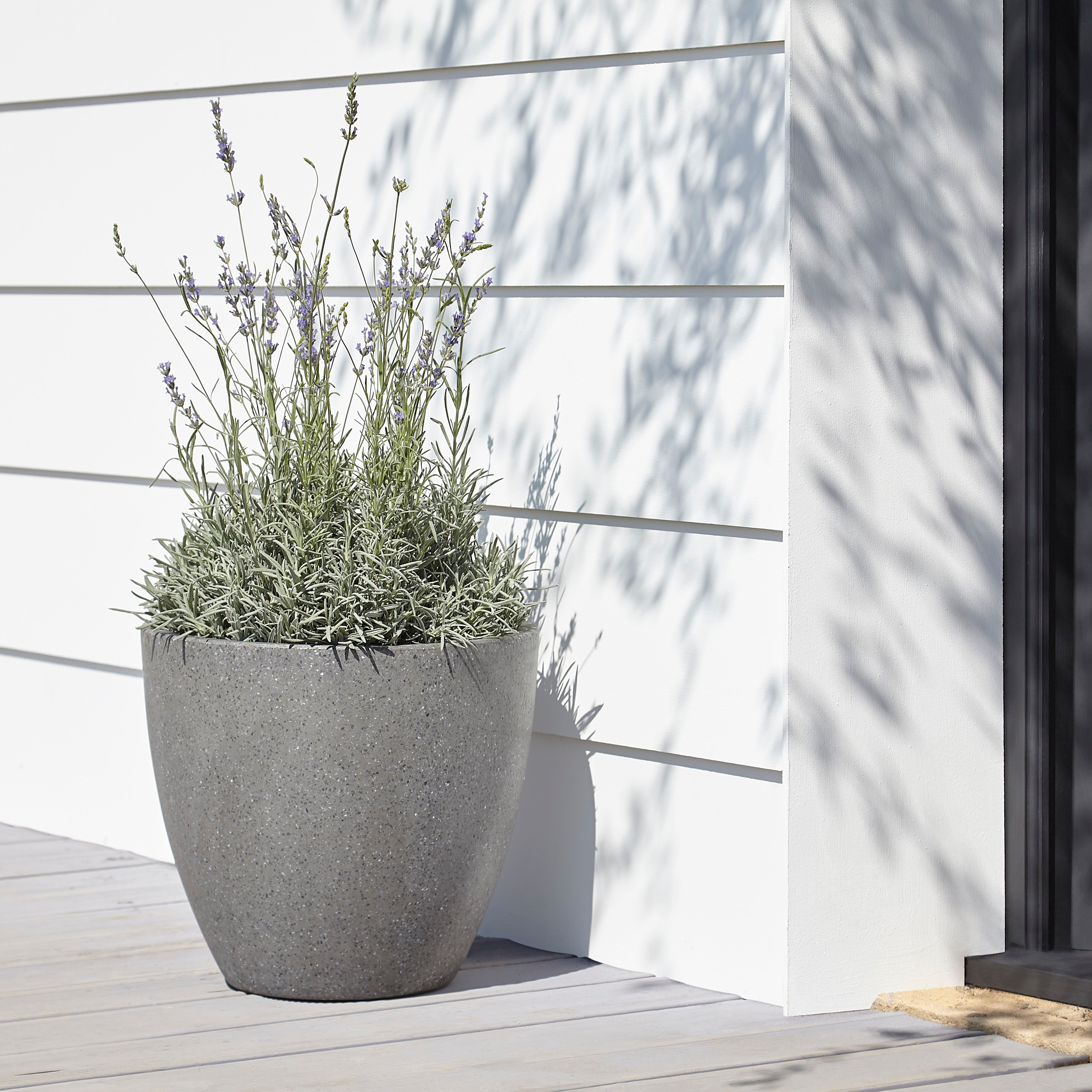 Blooma Hoa Dark grey Concrete effect Fibreclay Circular Plant pot (Dia ...