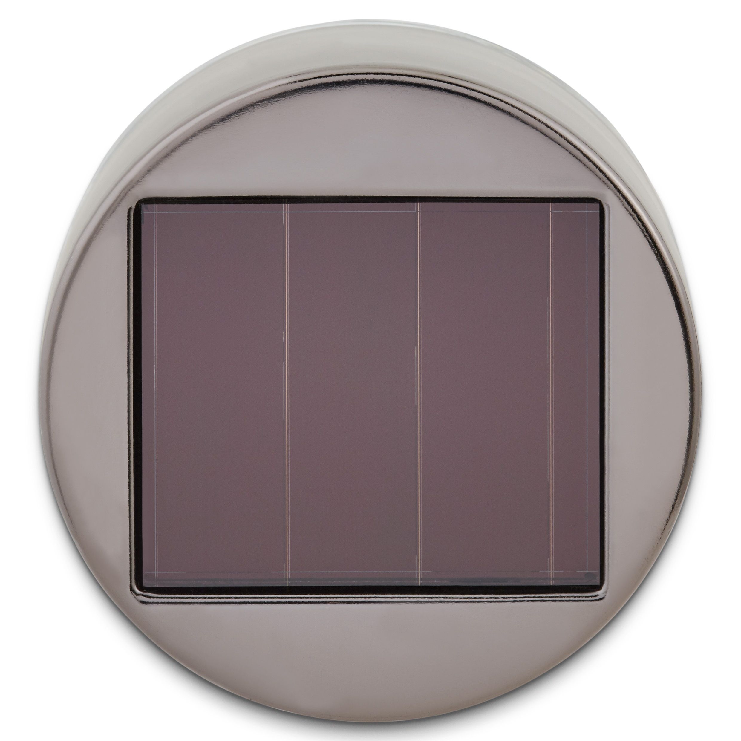 Blooma Solar Black Silver effect Solar-powered LED Outdoor Spike light