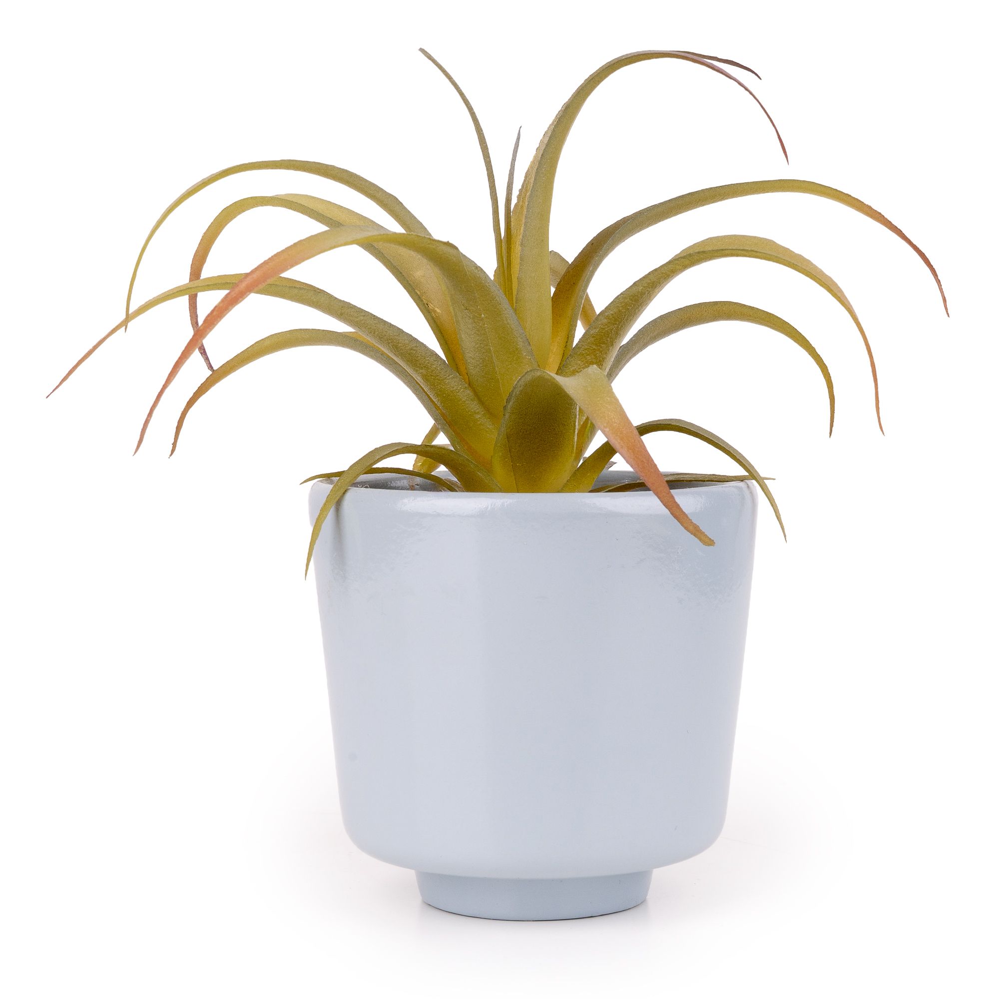 Blue & Green 15cm Succulent Pot with artificial plant in Blue Ceramic Pot