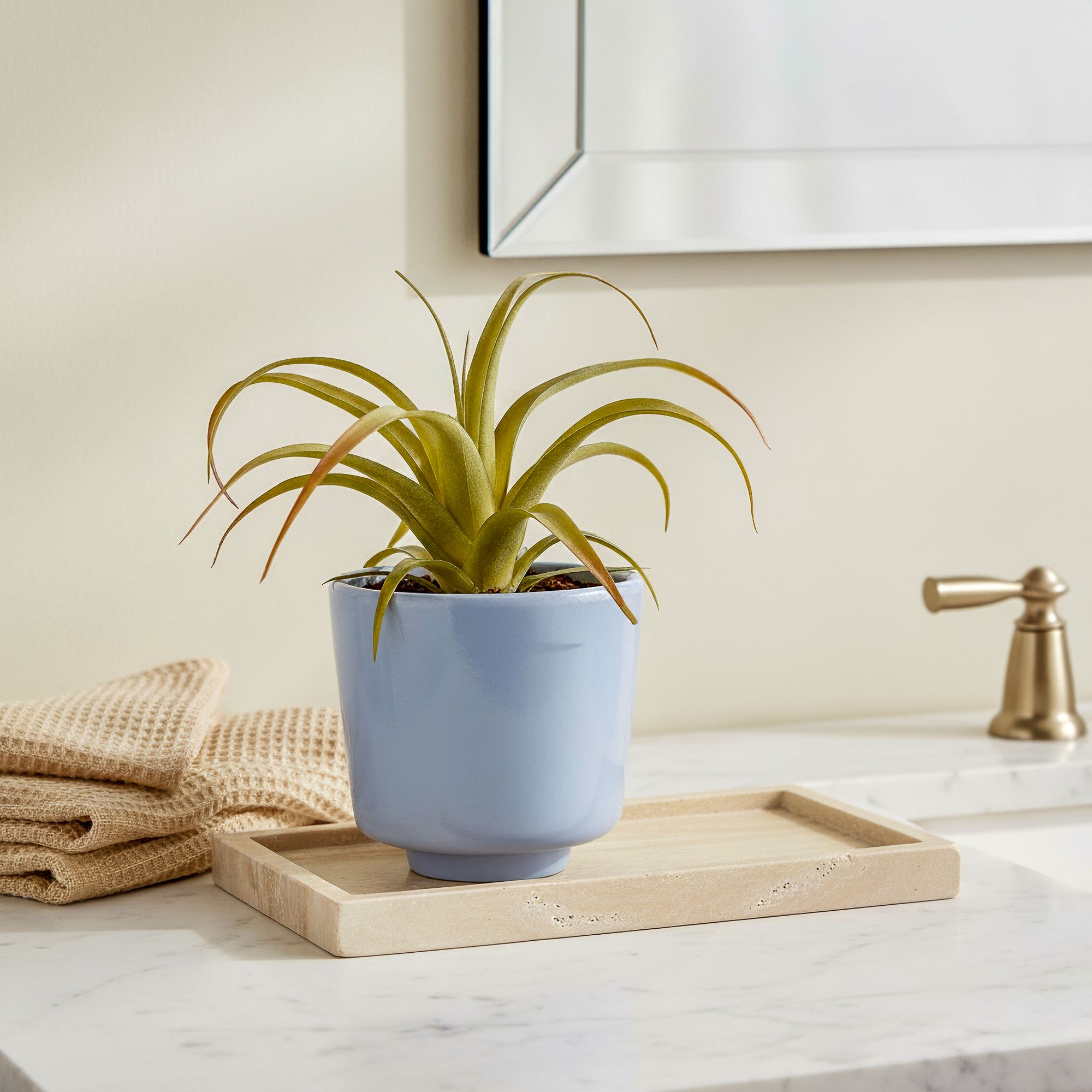 Blue & Green 15cm Succulent Pot with artificial plant in Blue Ceramic Pot