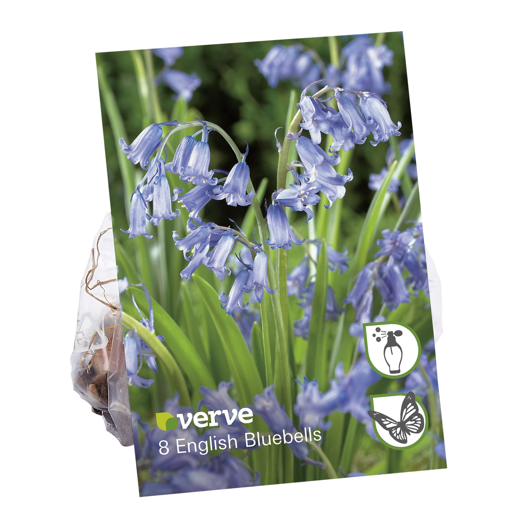 Bluebell English bluebells Flower bulb, Pack of 8 | DIY at B&Q