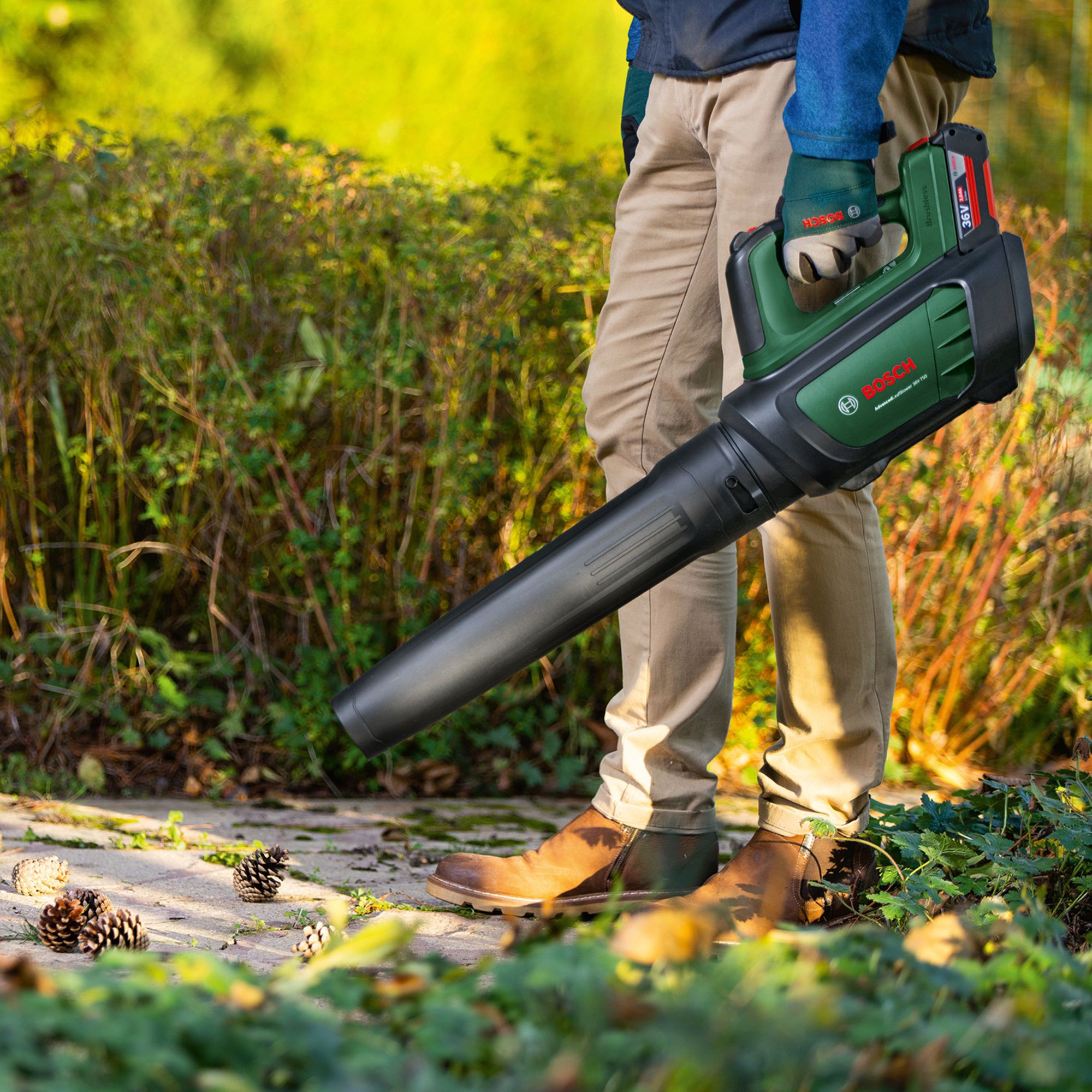 Bosch AdvancedLeafBlower 36V Cordless Garden blower (1 x 2Ah) - 36-750