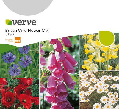 British Wildflower Seed | DIY at B&Q