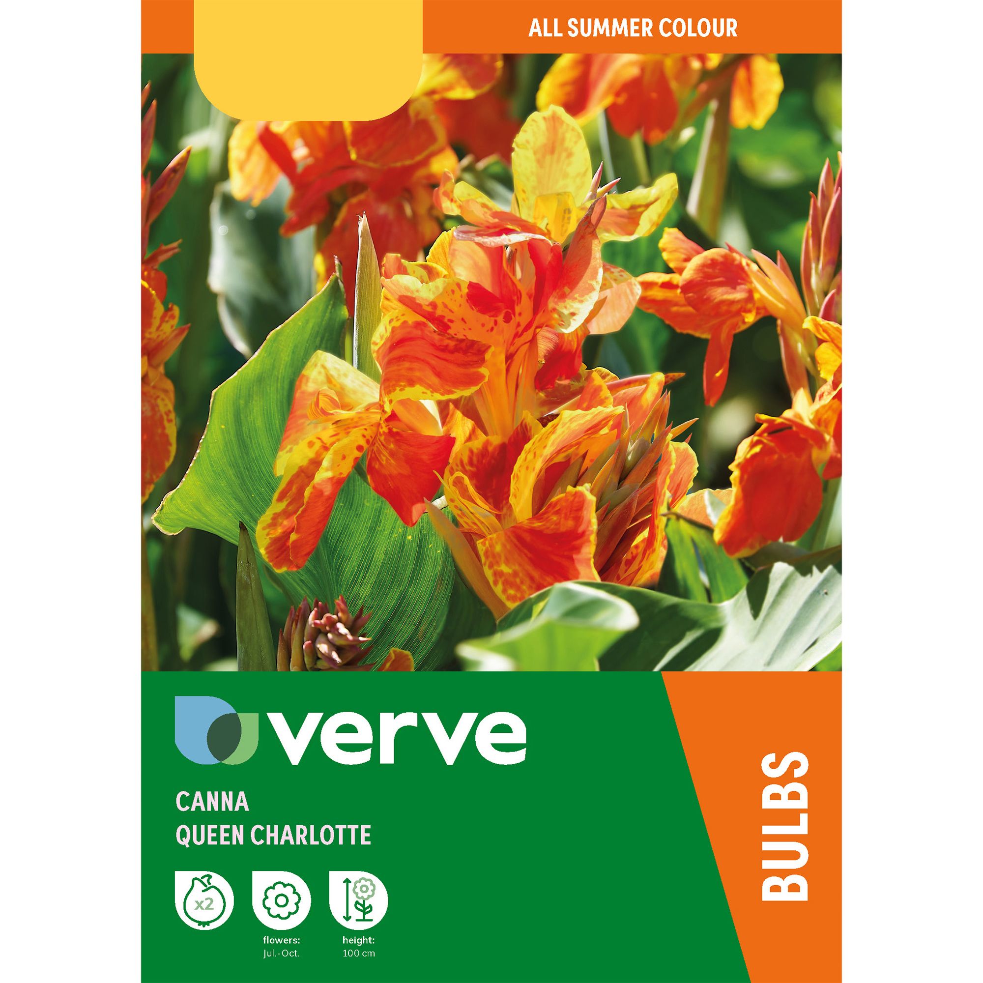 Canna Queen Charlotte 2 Flower bulbs