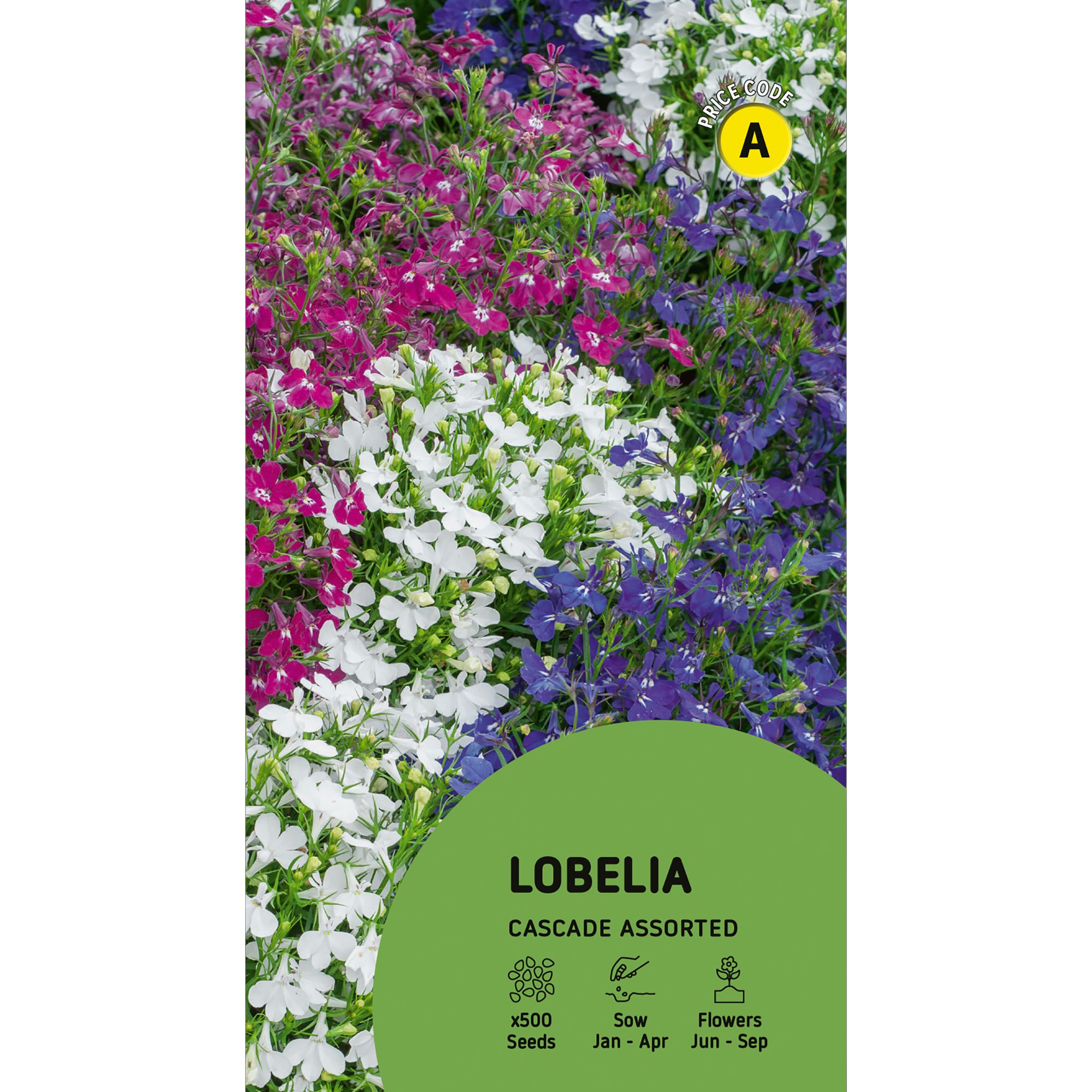 Cascade Assorted Lobelia Seeds