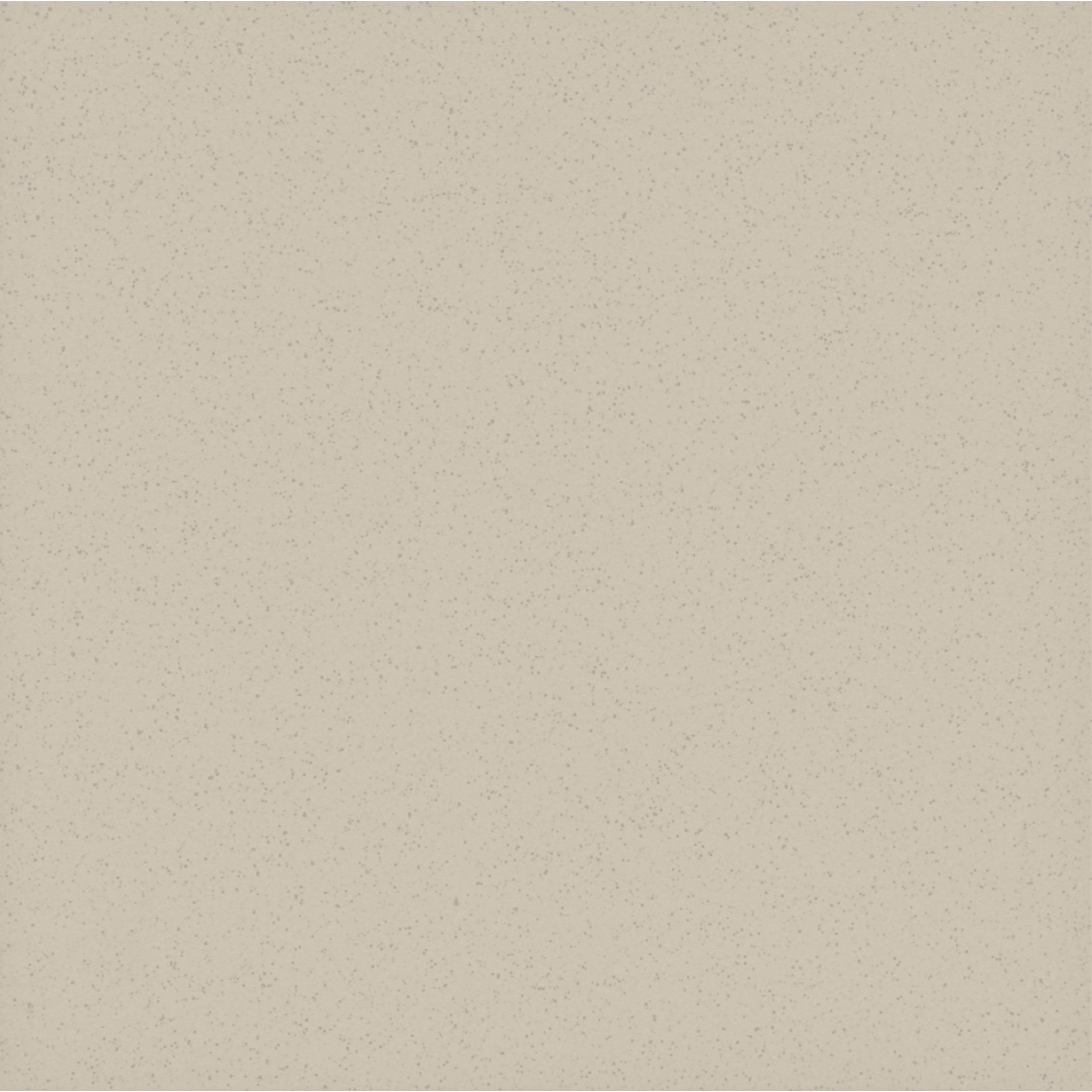 Ceramica Beige Matt Salt & pepper effect Porcelain Indoor & outdoor ...