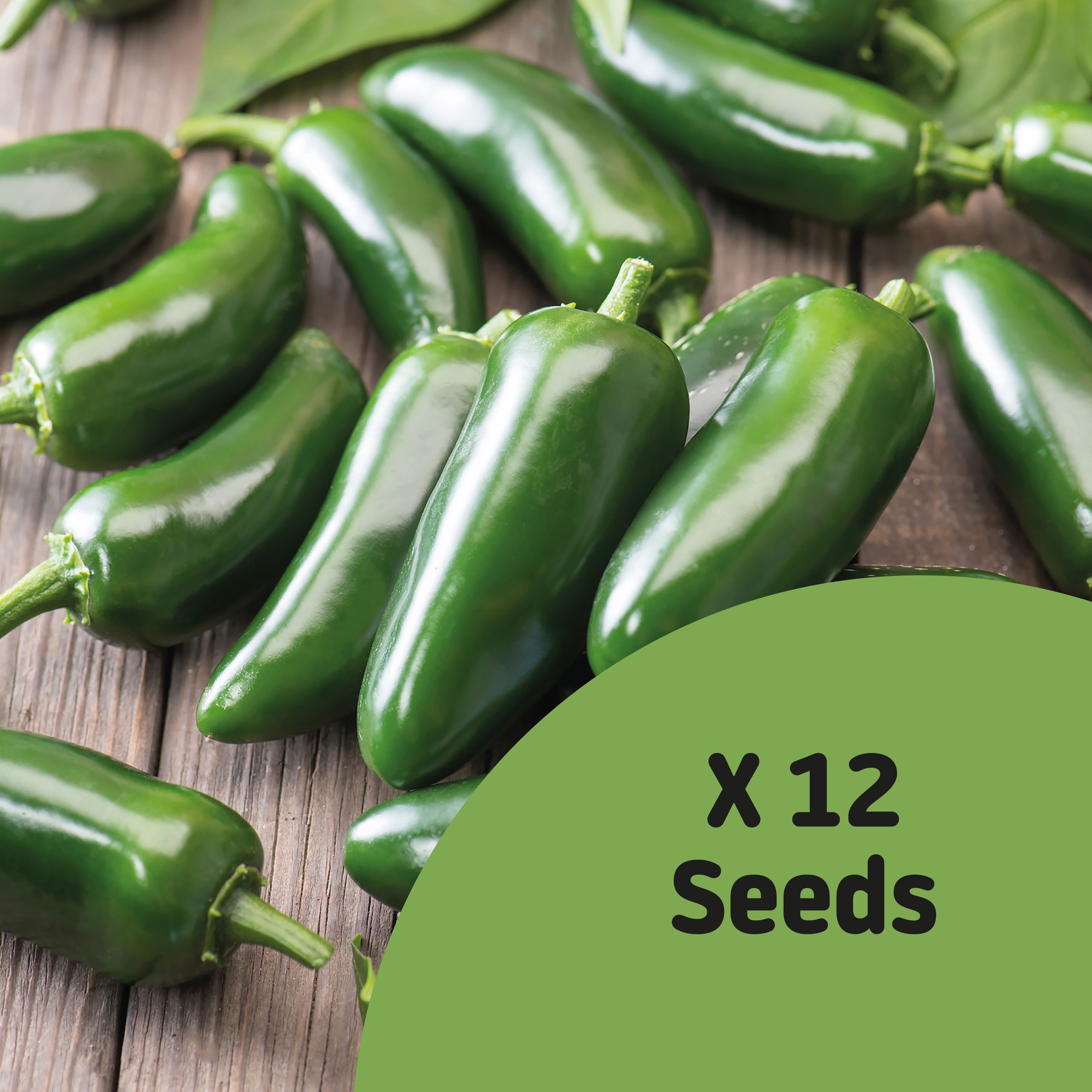 Chilli 'Jalapeno' Vegetable Seeds