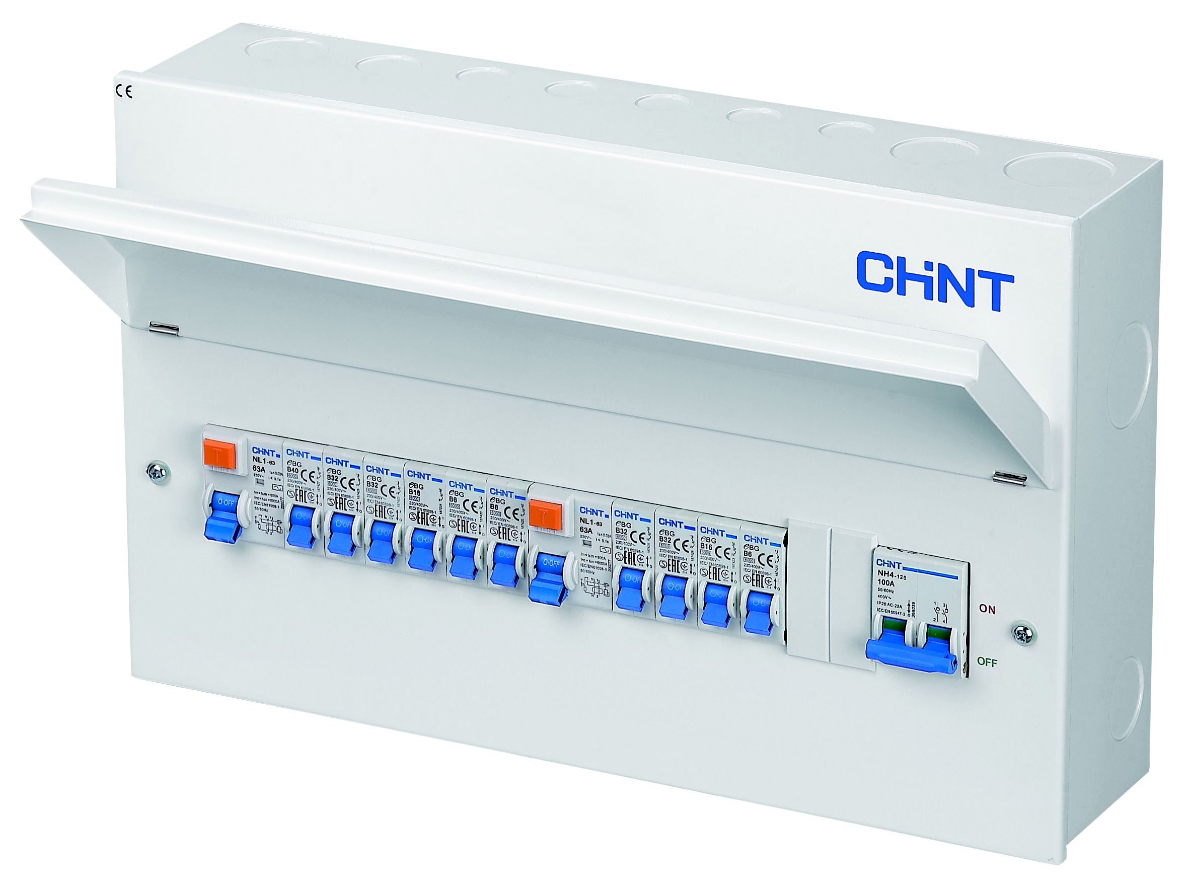 Chint Dual RCD Consumer unit with 100A mains switch | DIY at B&Q