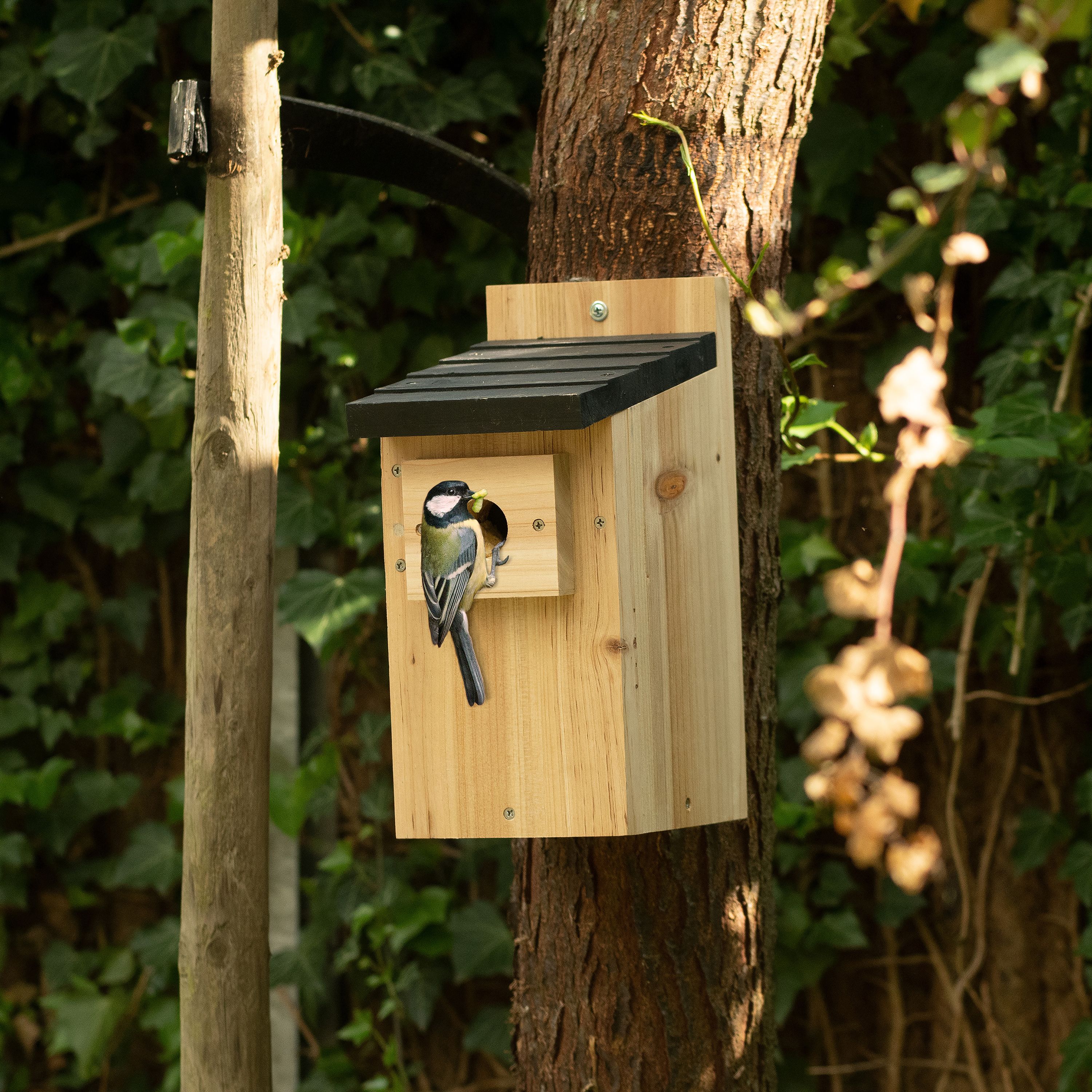 CJ Wildlife Kolding Natural Nest box | DIY at B&Q
