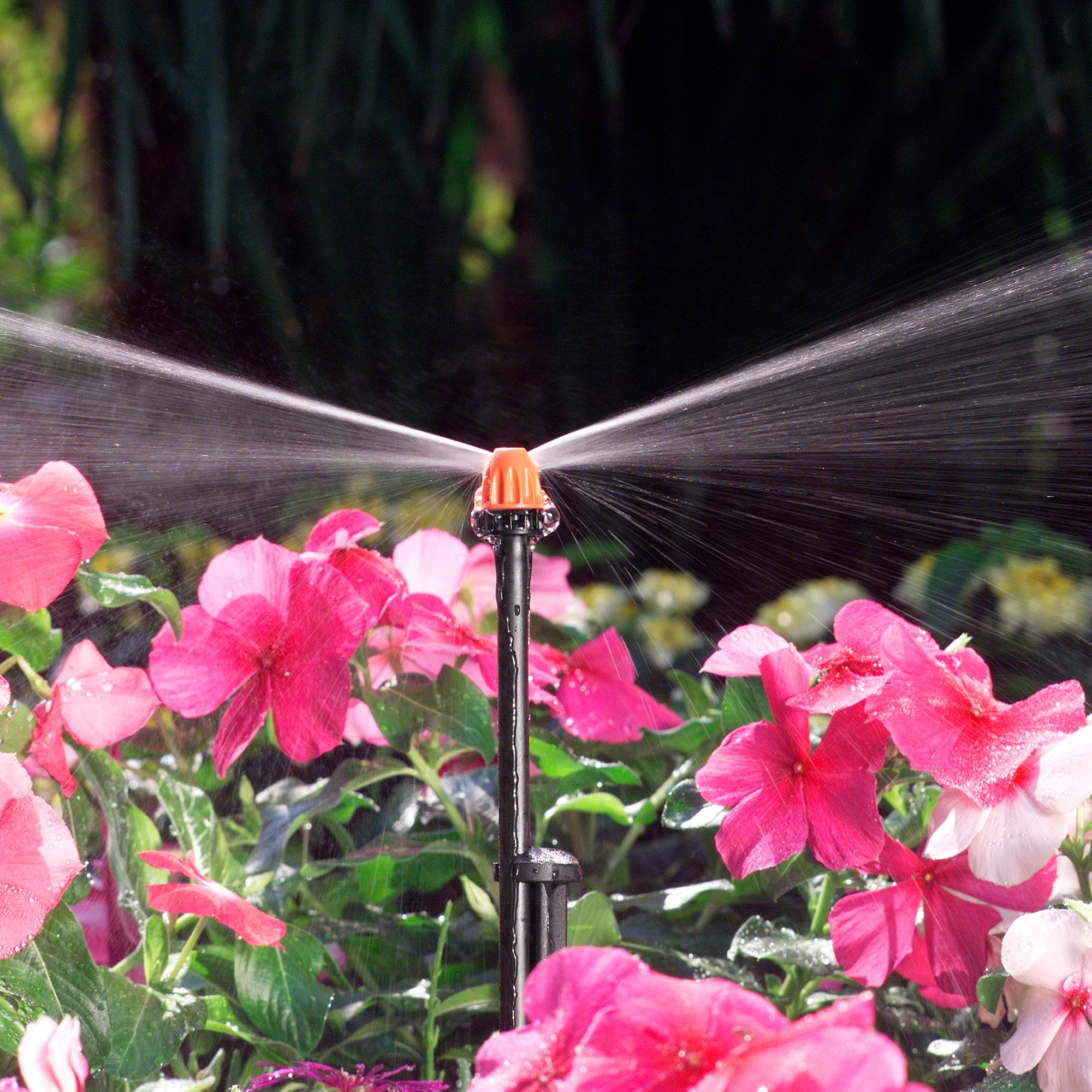 Claber Strip Micro-sprinkler, Pack of 10