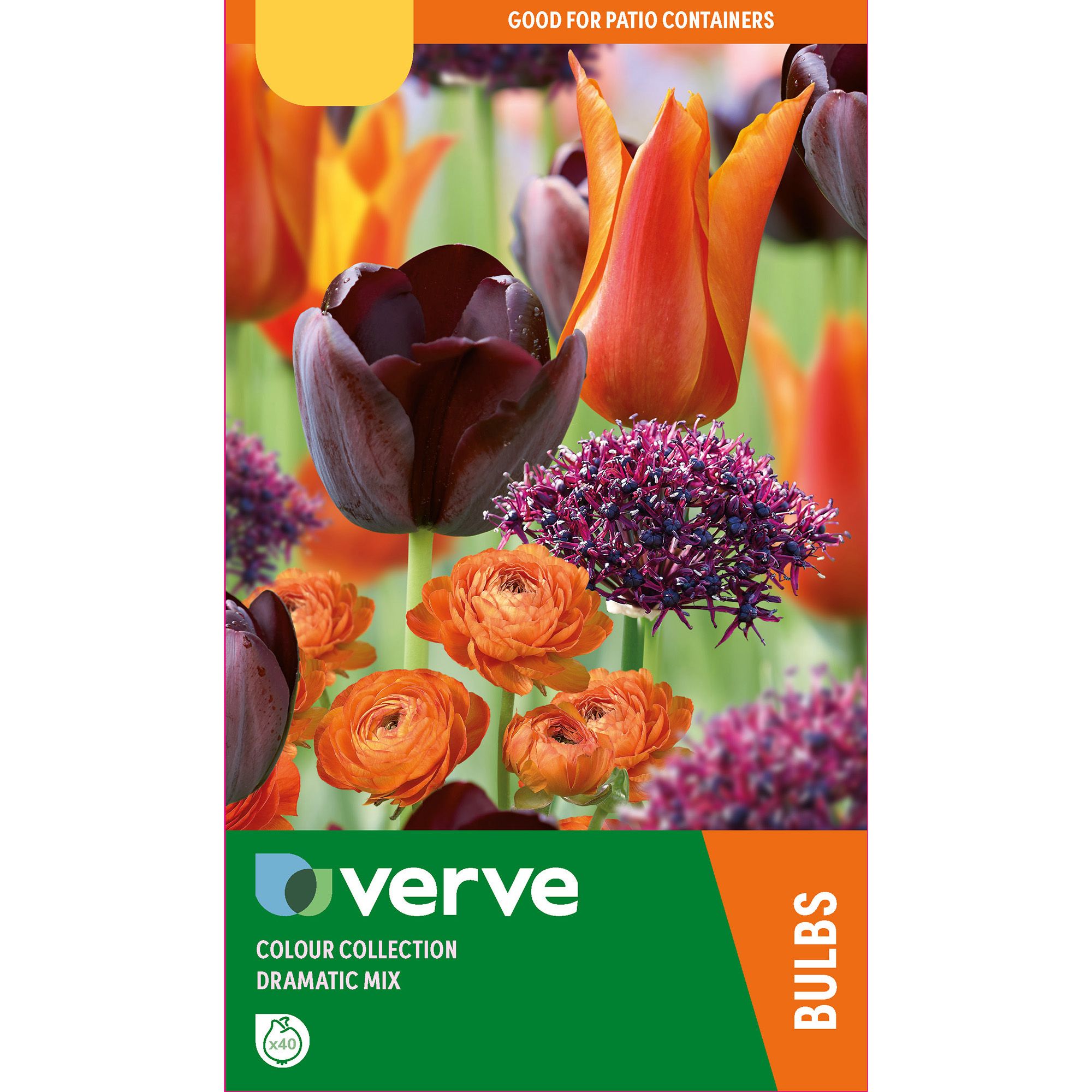 Colour collection dramatic mix Flower bulb, Pack of 40 | DIY at B&Q
