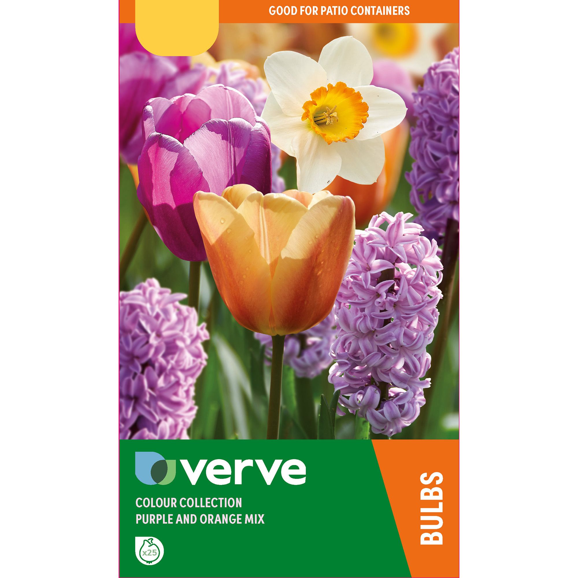 Colour collection purple & orange mix Flower bulb, Pack of 25 | DIY at B&Q