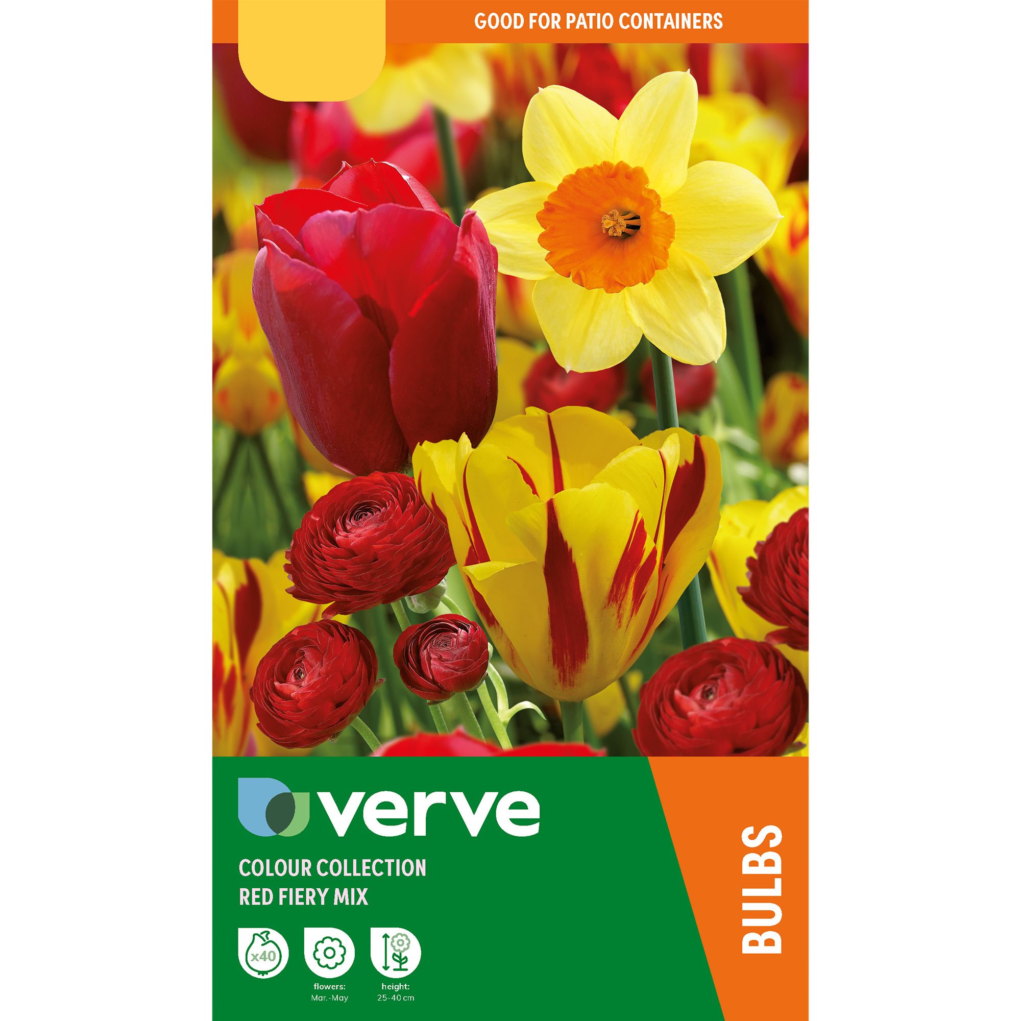 Colour Collection - Red Fiery Mix 40 Flower bulbs at B&Q