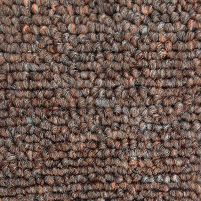 Colours Benza Beige Loop Carpet, (W)400mm | DIY at B&Q