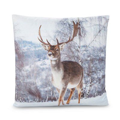 Colours Brea Multicolour Stag Print effect Cushion, (L)43cm x (W)43cm