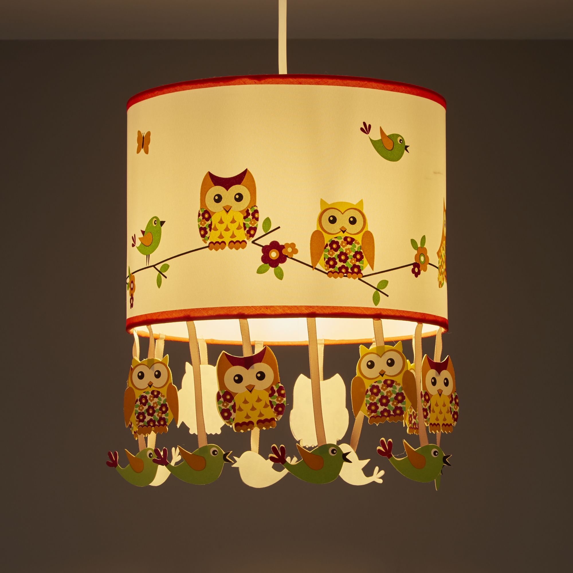 Colours Oratory Multicolour Owl Light shade (D)250mm | DIY at B&Q