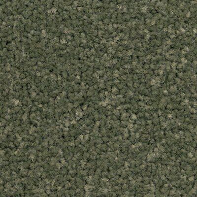 Colours Sage Carpet tile, (L)500mm
