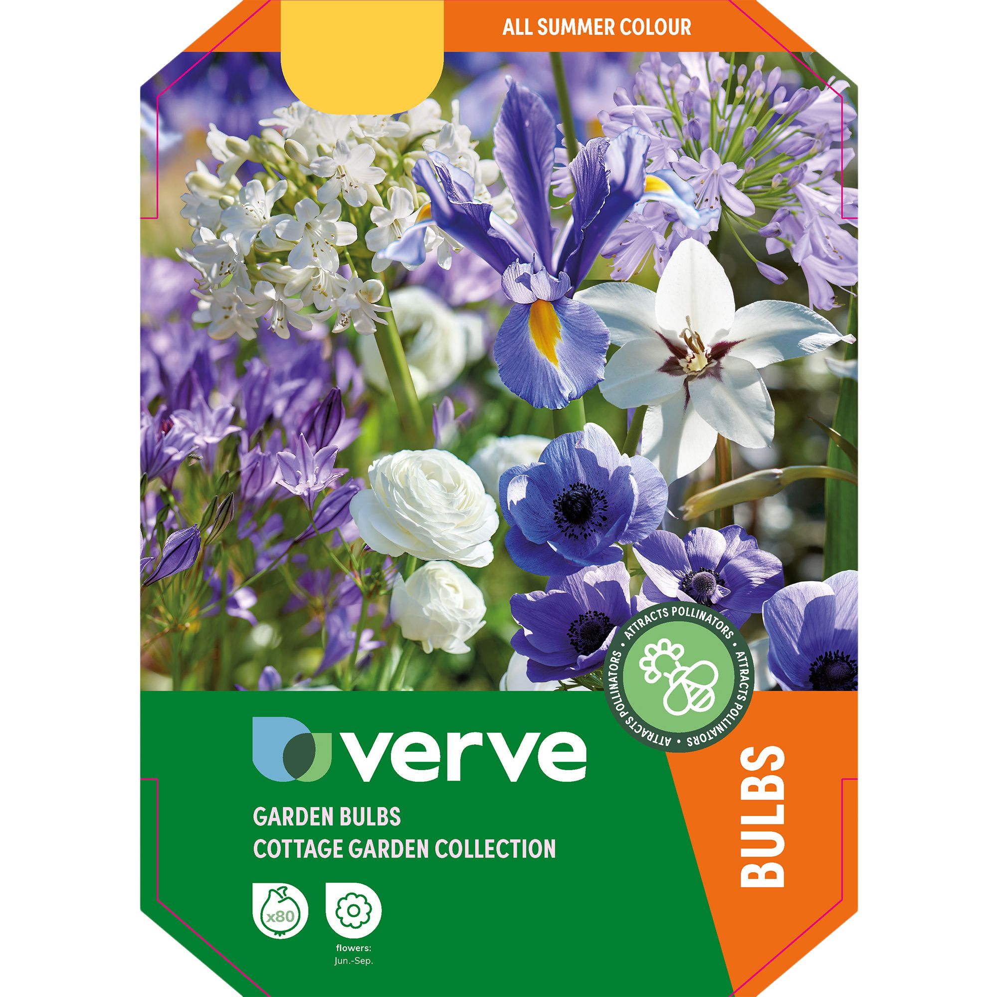 Cottage Garden Summer Bulbs Collection 80 Flower bulbs