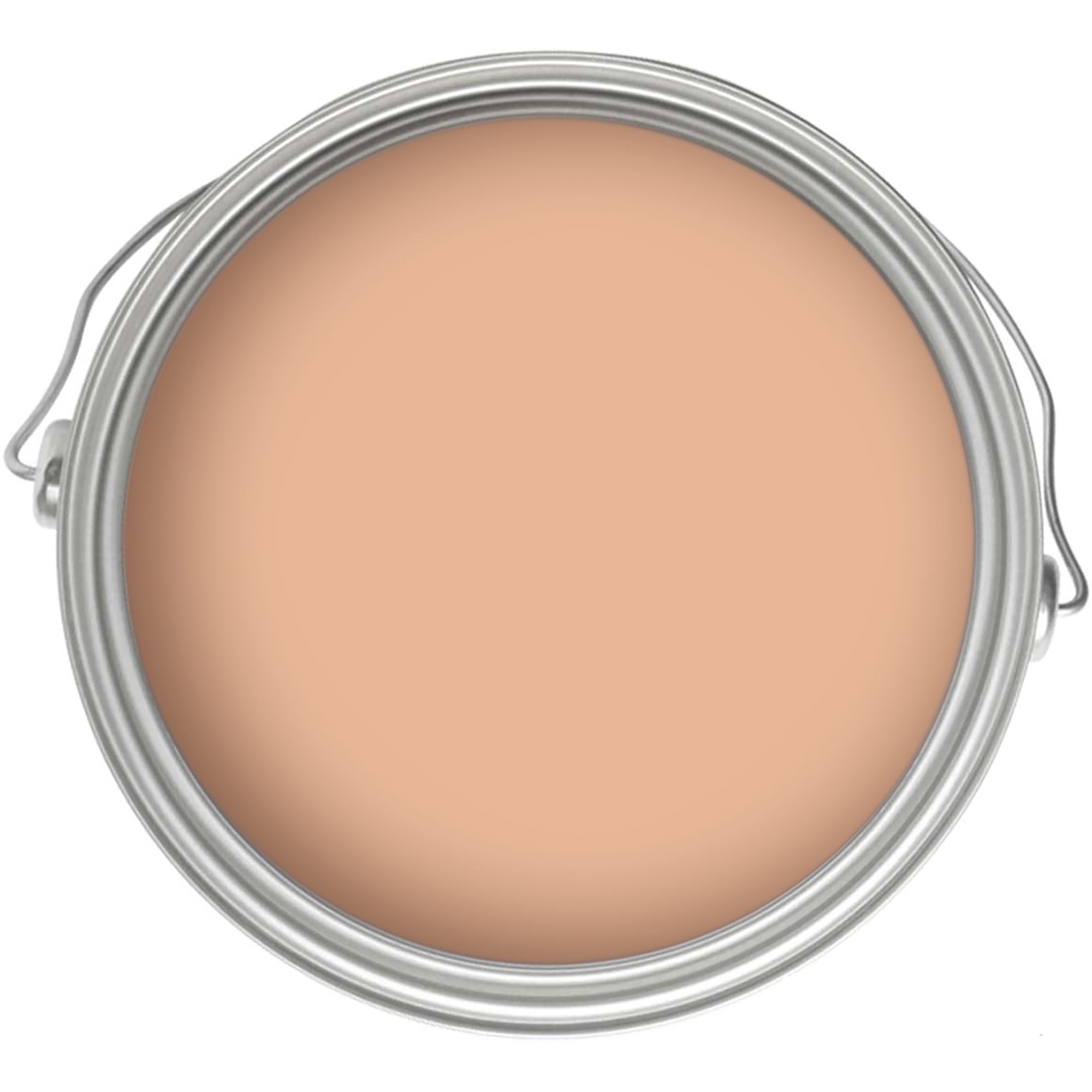 Craig & Rose 1829 Chatelain Chalky Emulsion paint, 2.5L