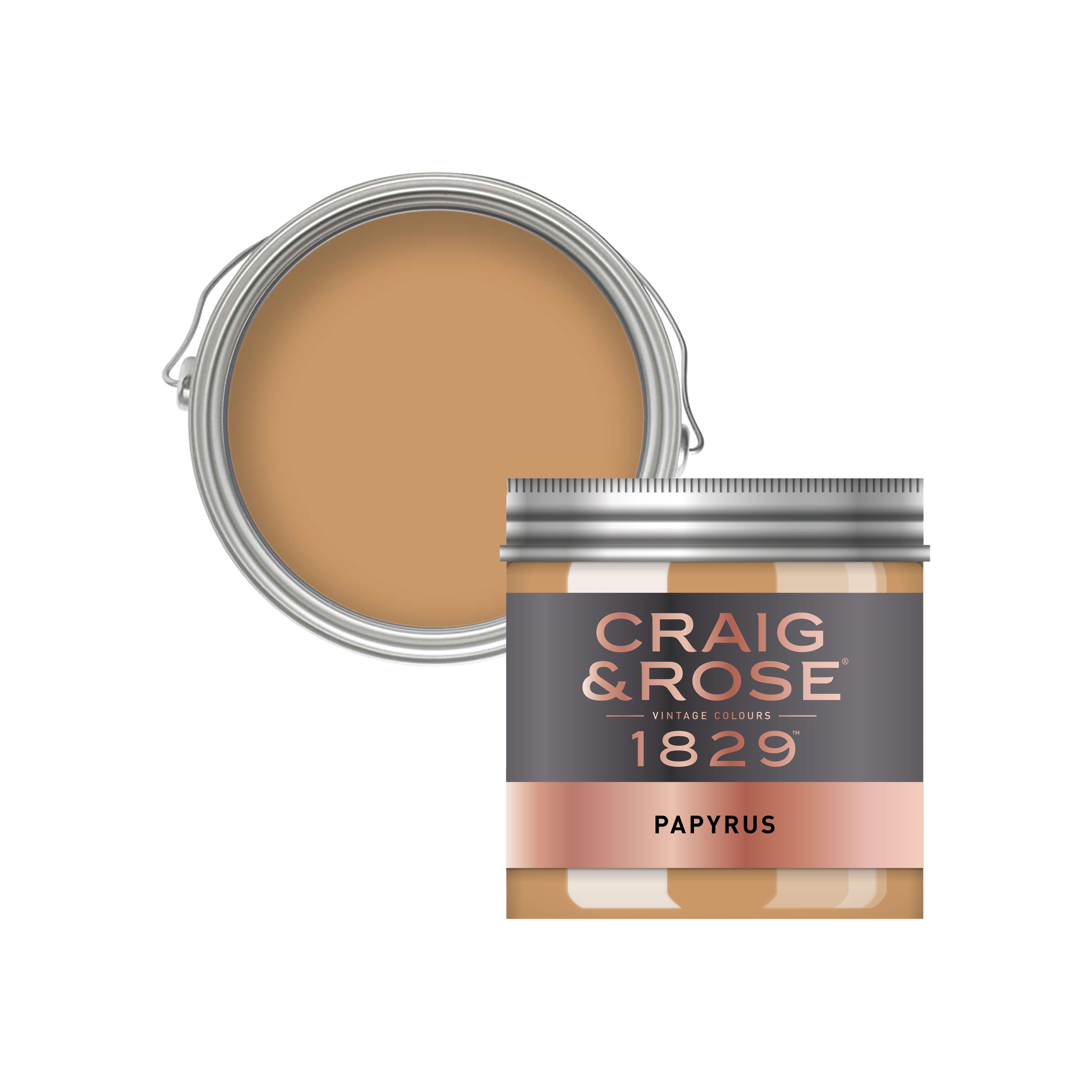 Craig & Rose 1829 Papyrus Chalky Emulsion paint, 50ml | DIY at B&Q