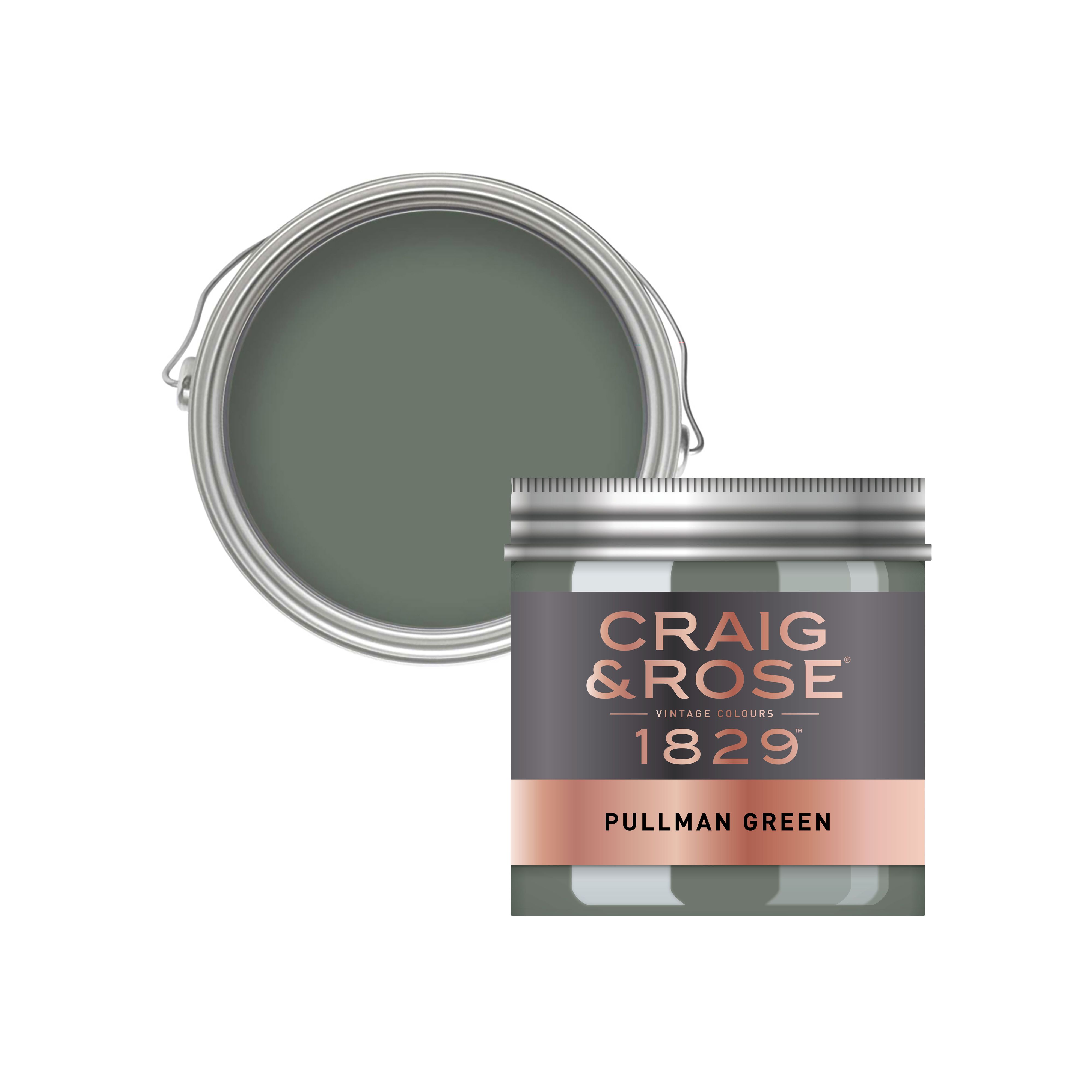 Craig & Rose 1829 Pullman Green Chalky Emulsion paint, 50ml | DIY at B&Q