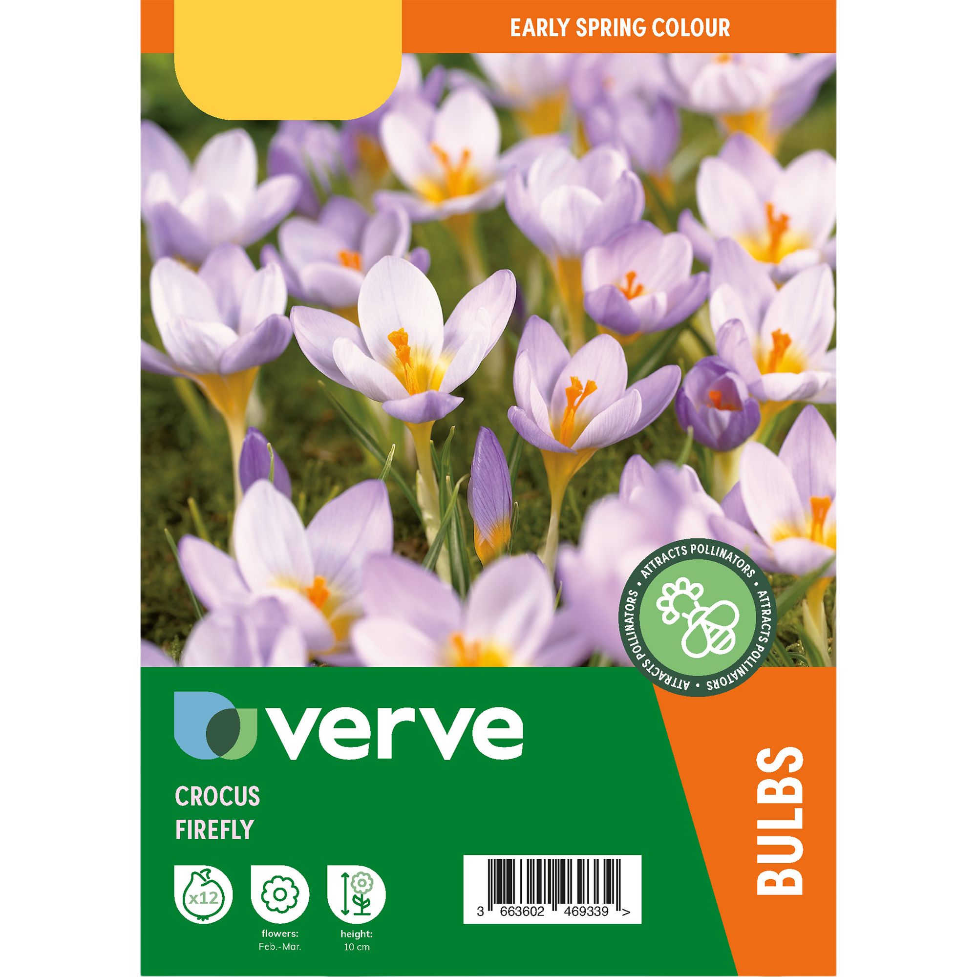 Crocus firefly Flower bulb, Pack of 12 | DIY at B&Q