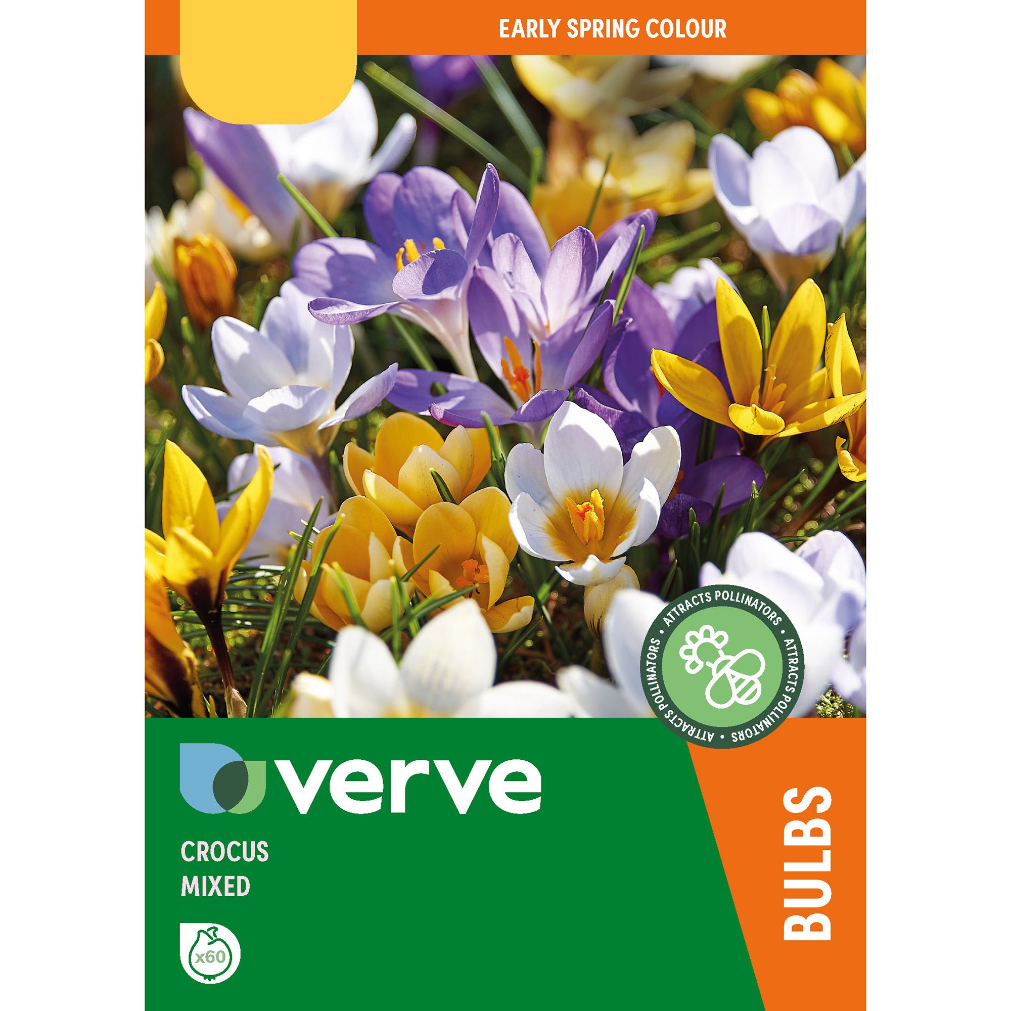 Crocus mixed Flower bulb, Pack of 60 | DIY at B&Q